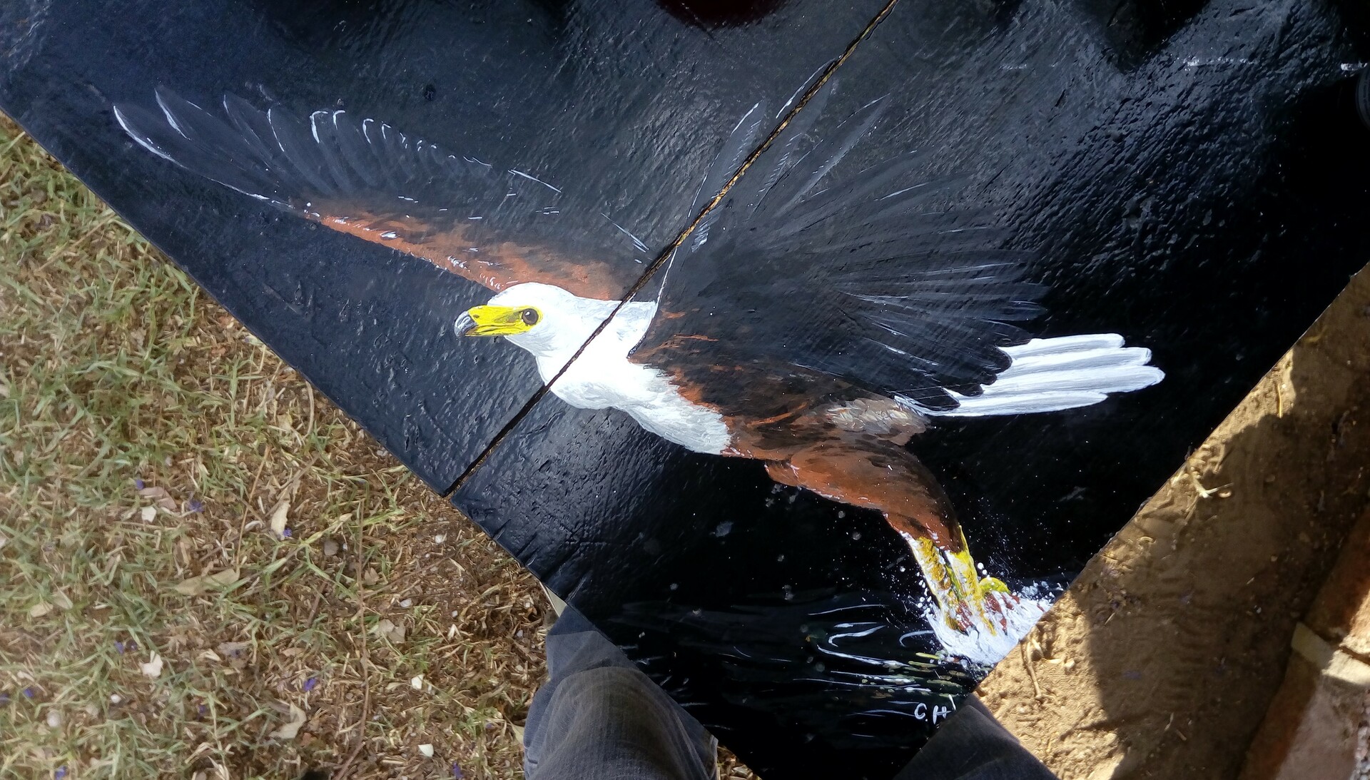 Christopher Hammond - Birds of Malawi - Art Installation for La Caverna ...