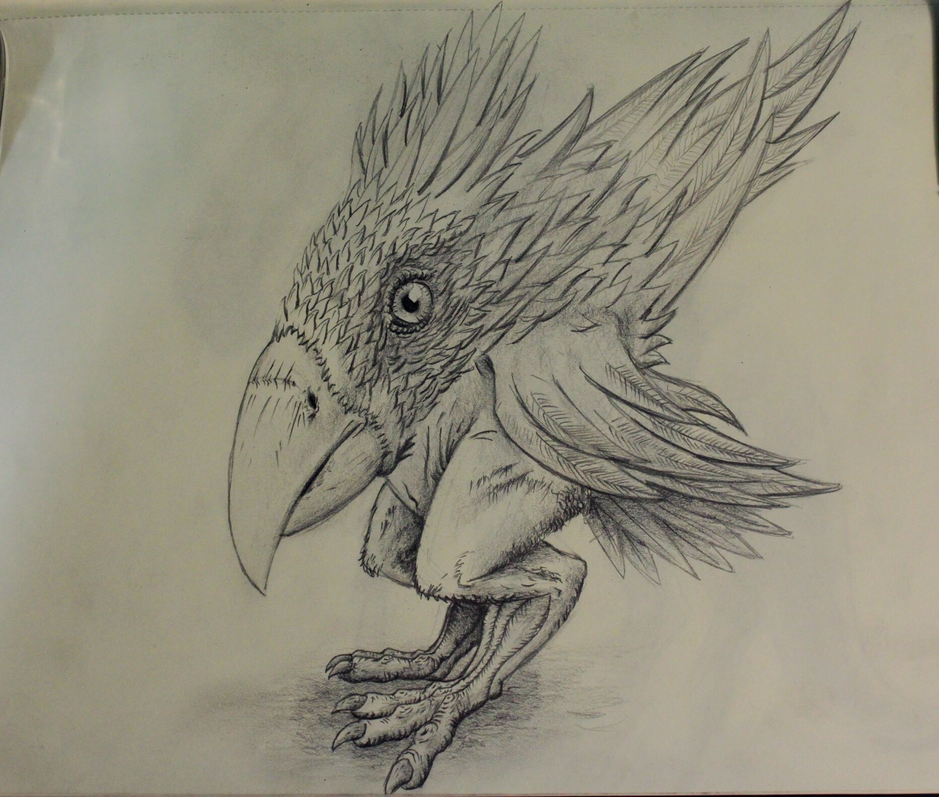 ArtStation - Creature Design Sketches