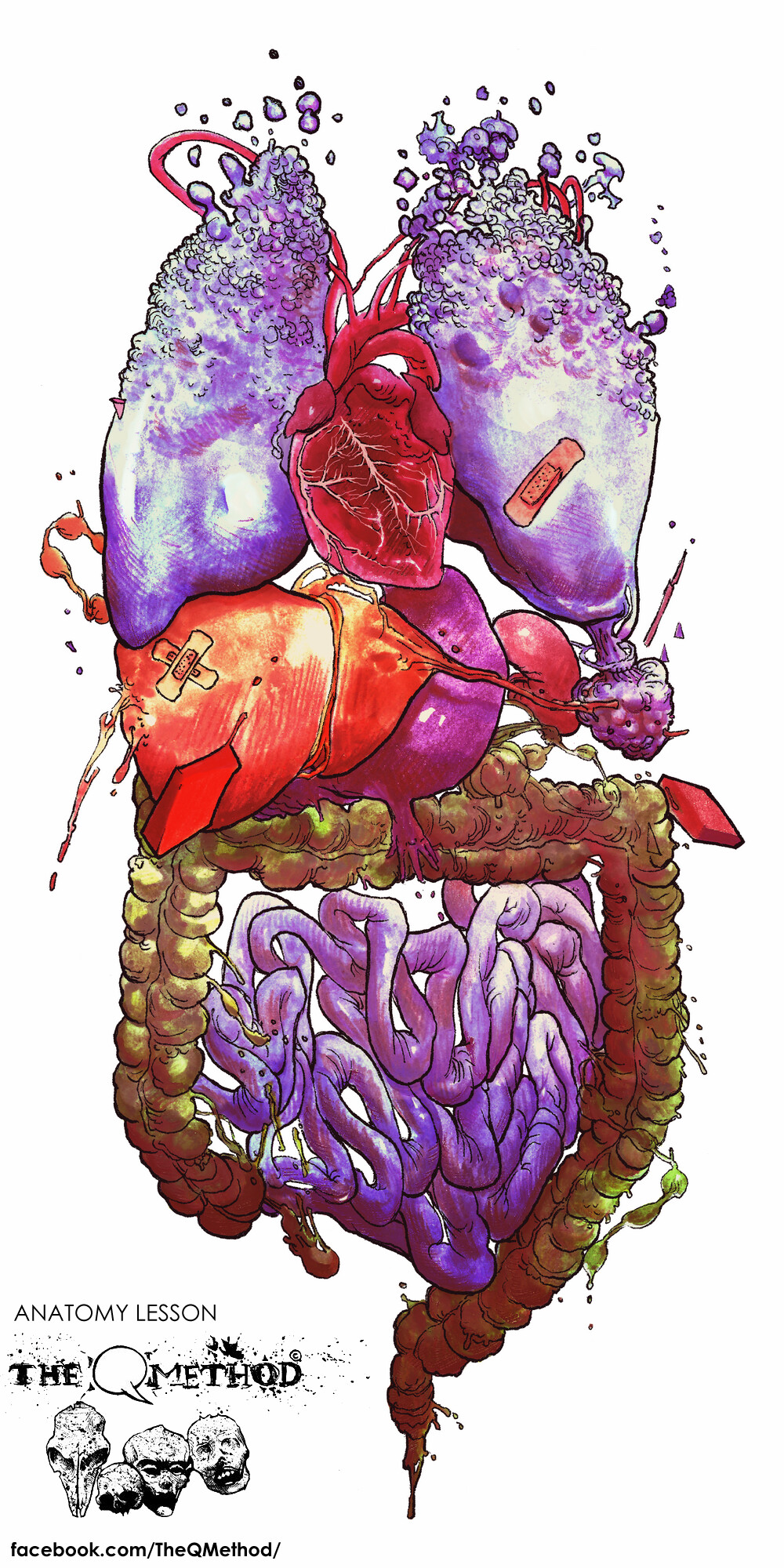 ArtStation - ANATOMY LESSON