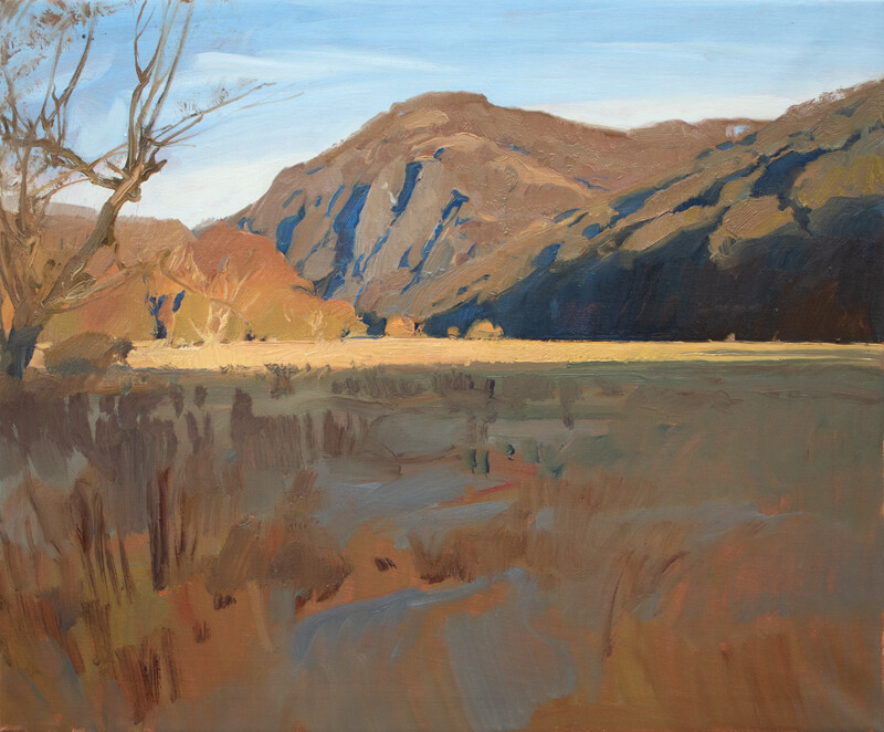 tomas-honz-dsc-0009web.jpg (800×662)-花瓣网