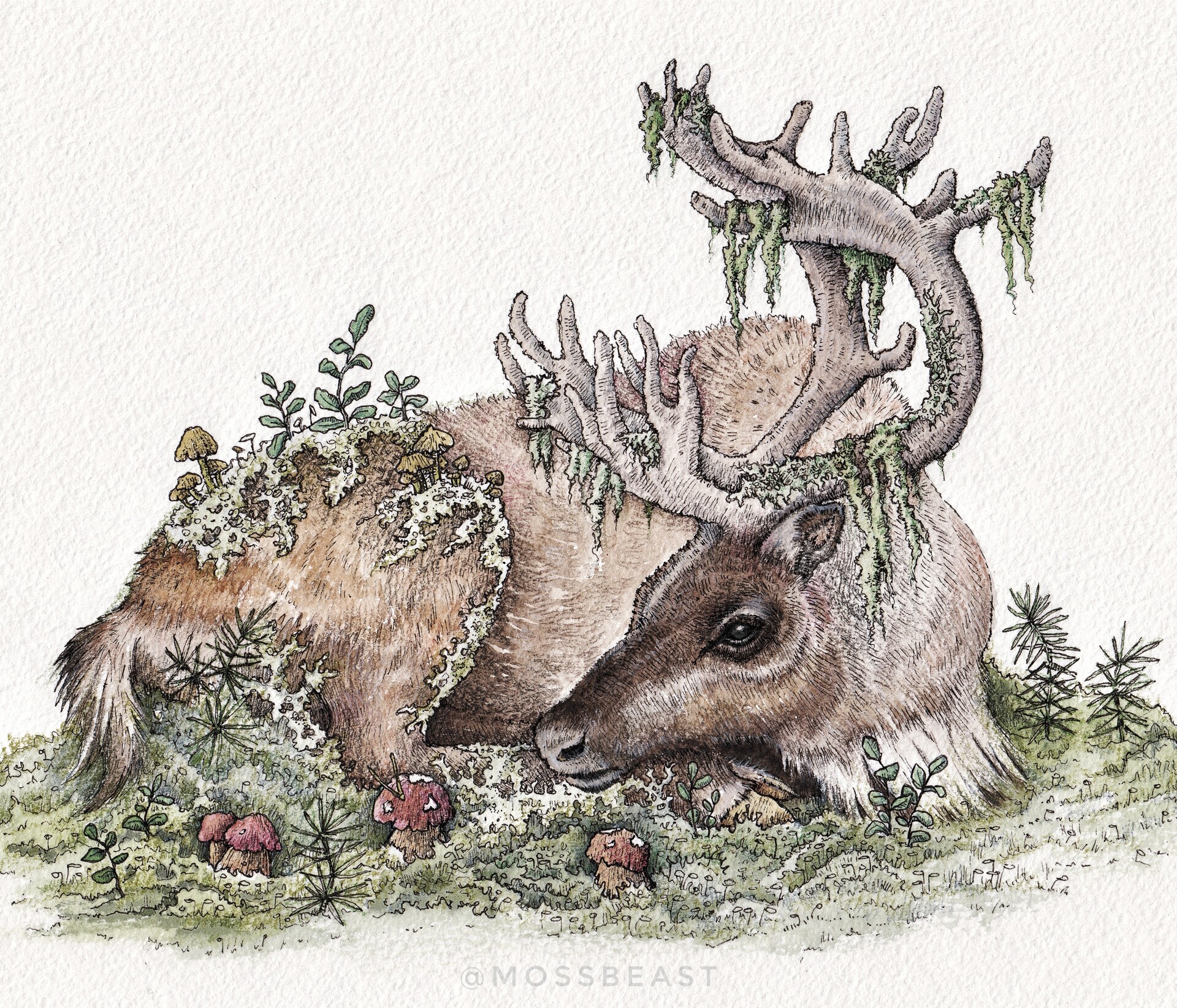 ArtStation - reindeer