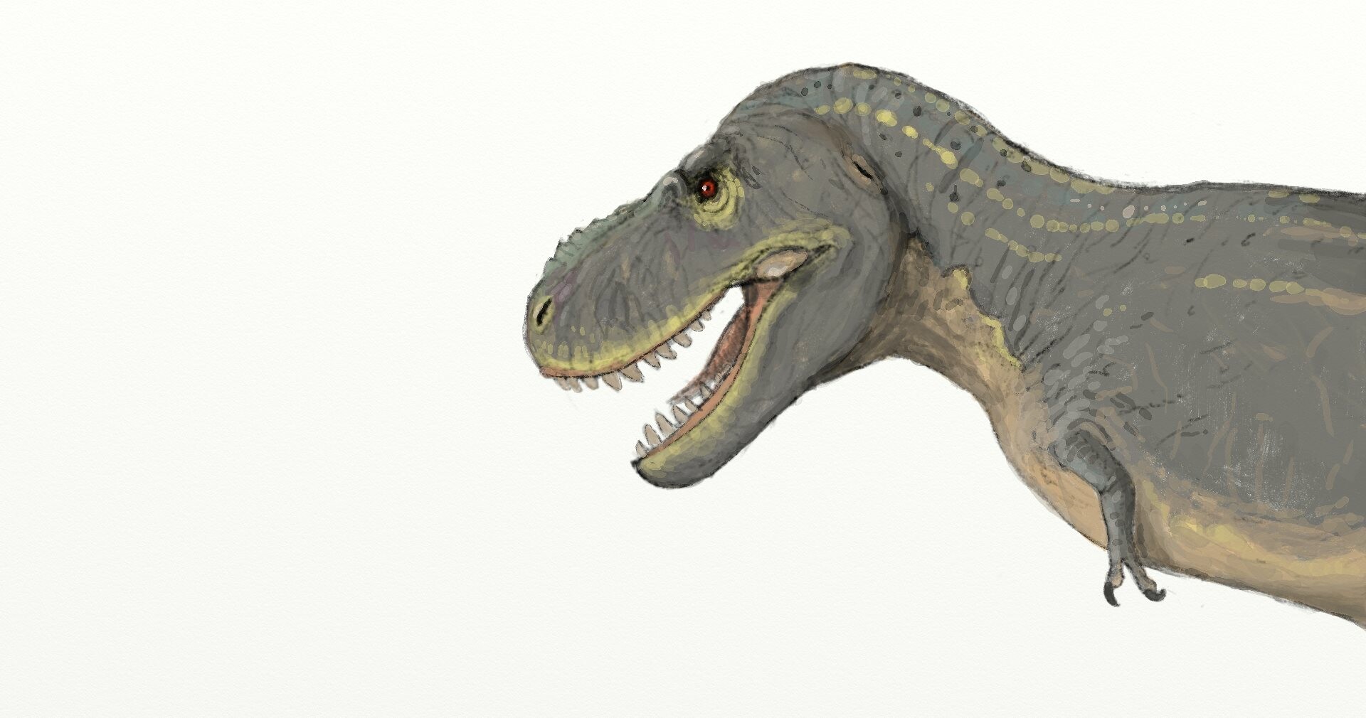 Bálint Benke - Tyrannosaurus (sketch)