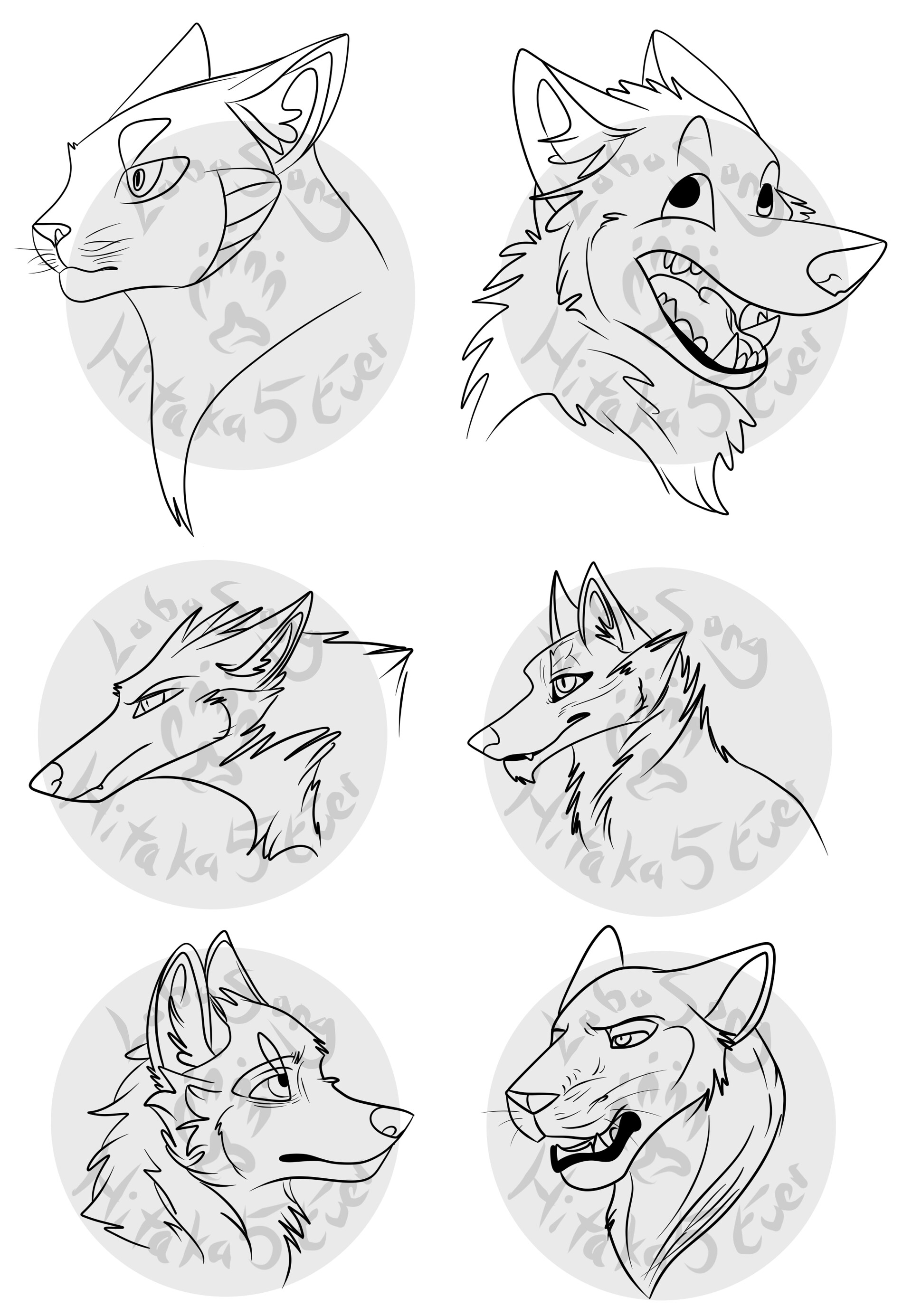 anime wolf drawing reference