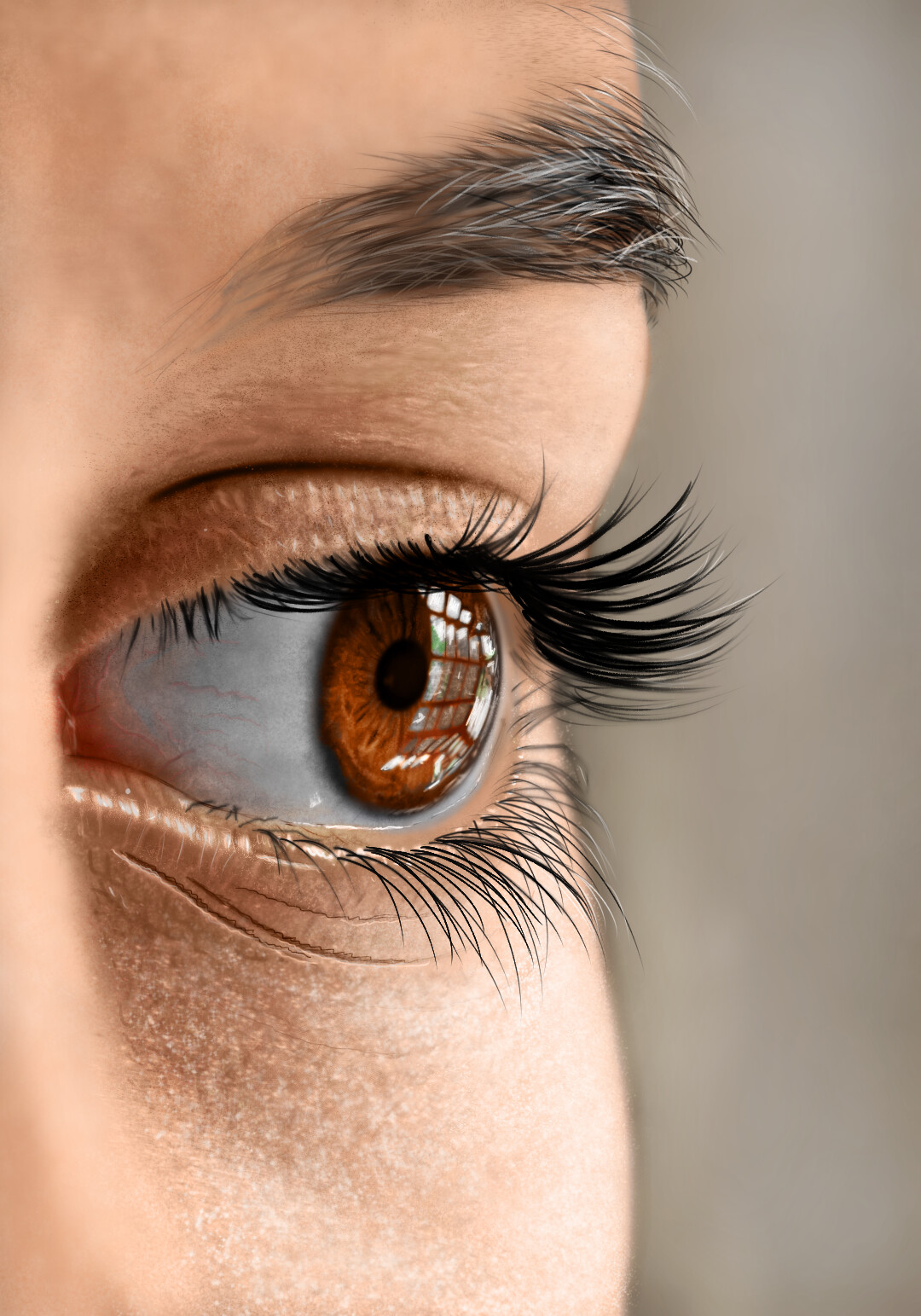 female eye reference