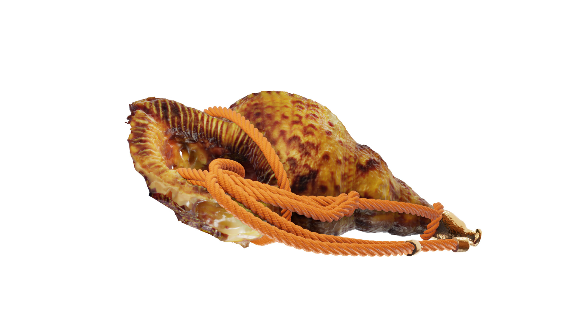 Michael Klee - Japanese Musical Instruments - part 9/9 Horagai 法螺貝 ...