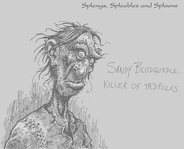 ArtStation - Sandy Bludguddle, Killer of Tadpoles
