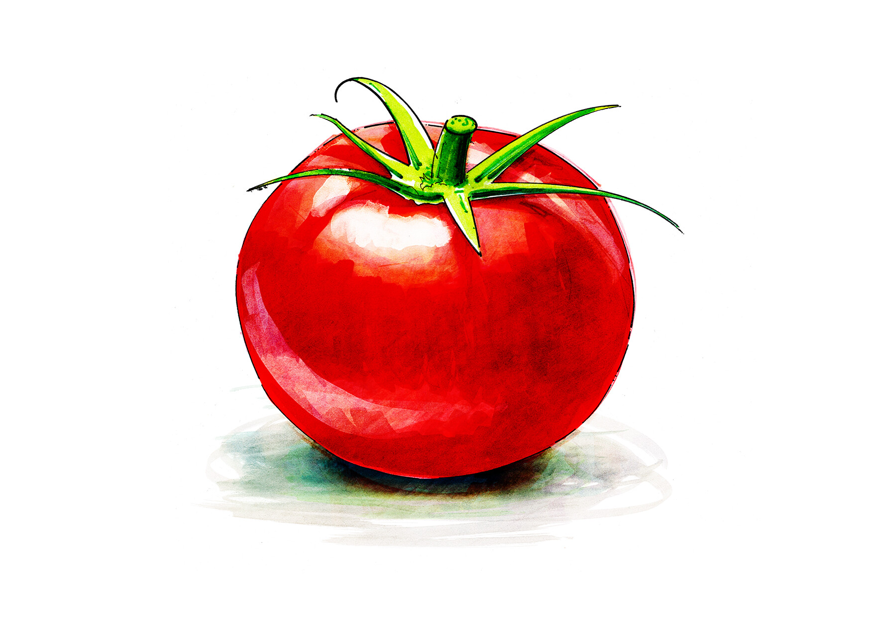 ArtStation - Tomato