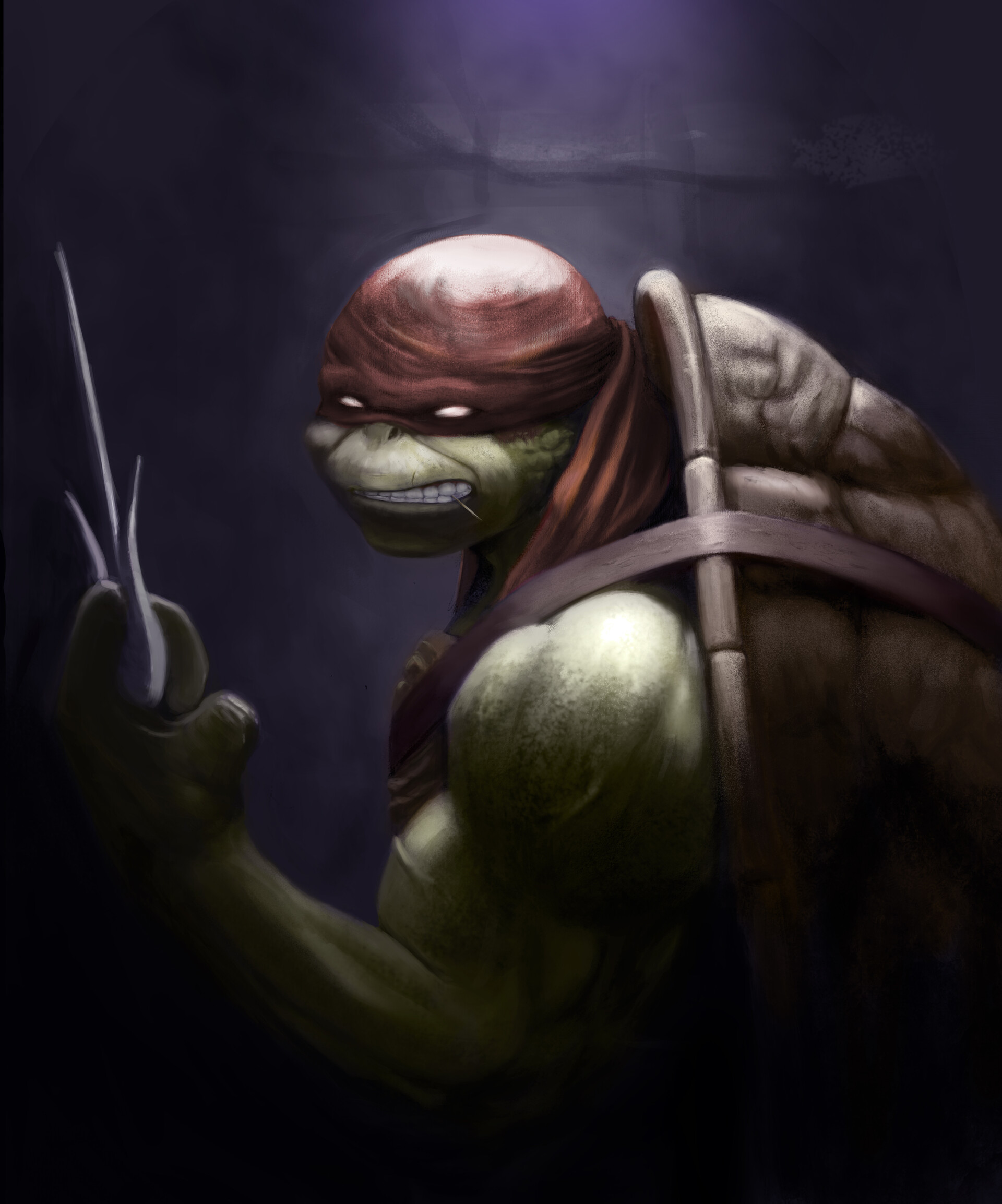Raphael Ninja Turtle Art