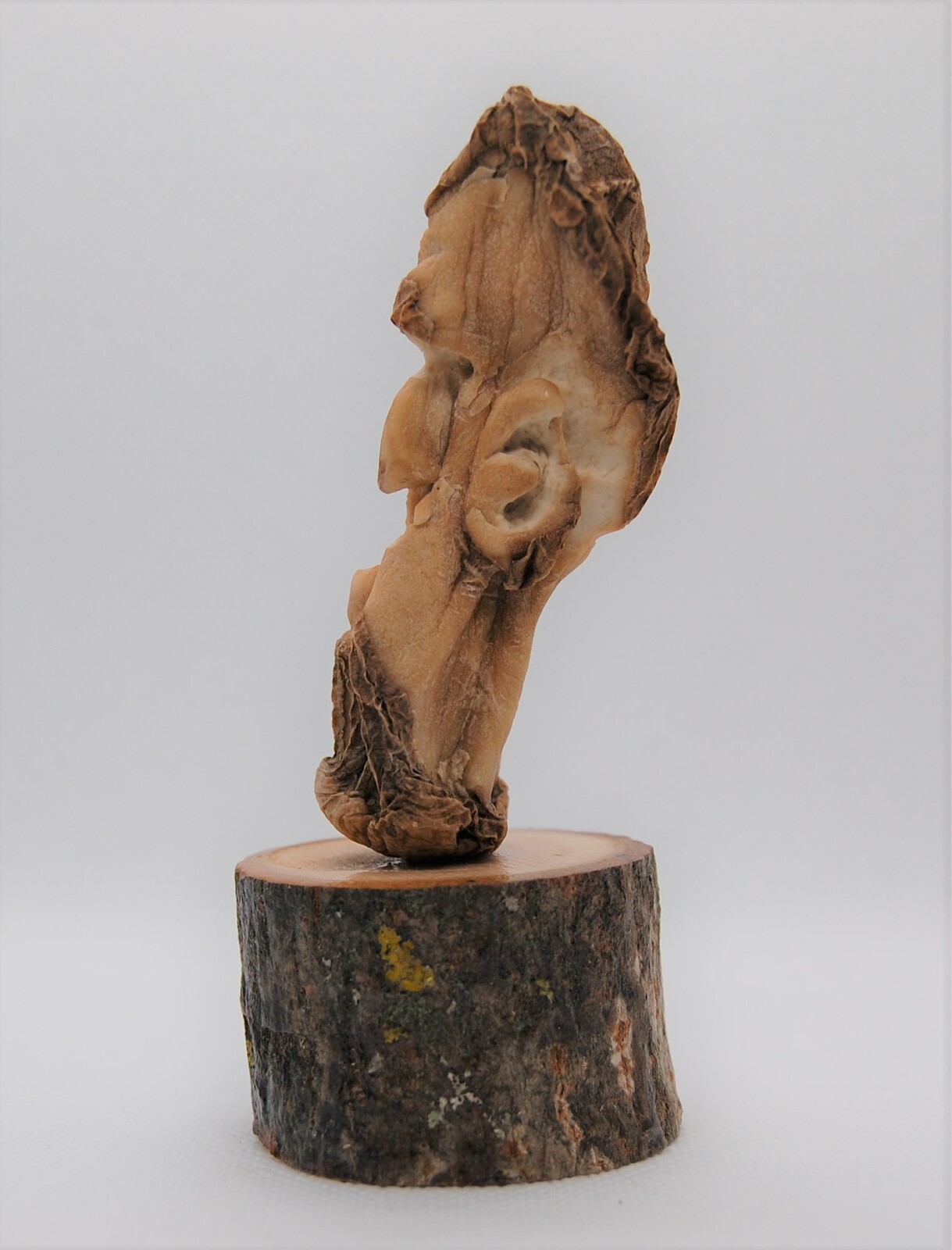 Gary Frederick - Art Core and the potato men