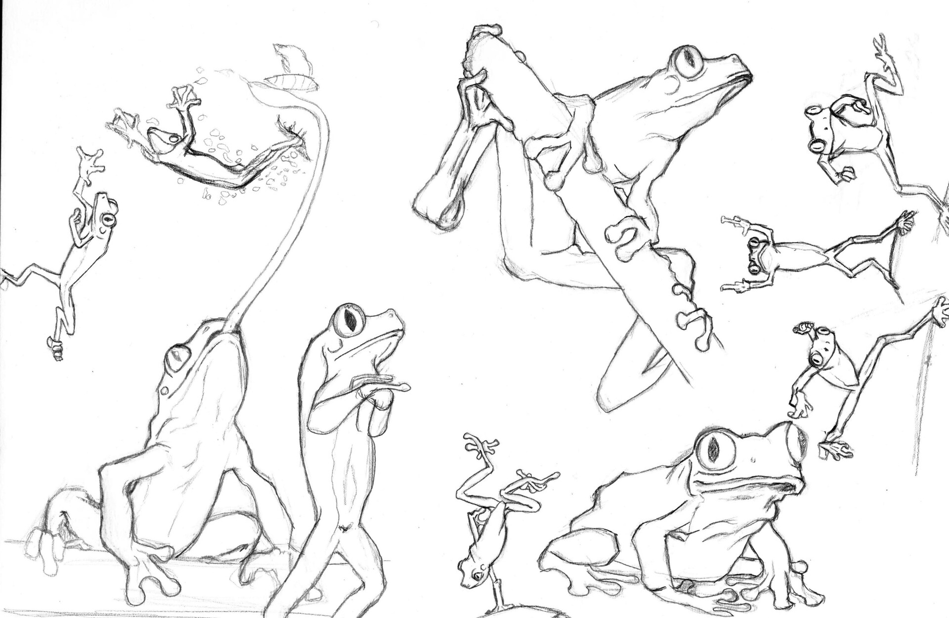 ArtStation - Bat and frog Study Sketches