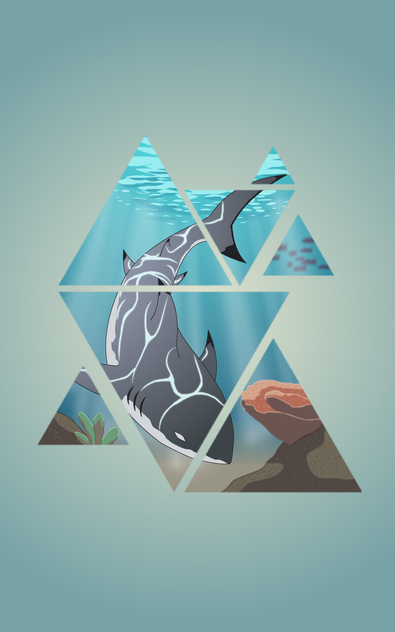 ArtStation - Blacktip Shark