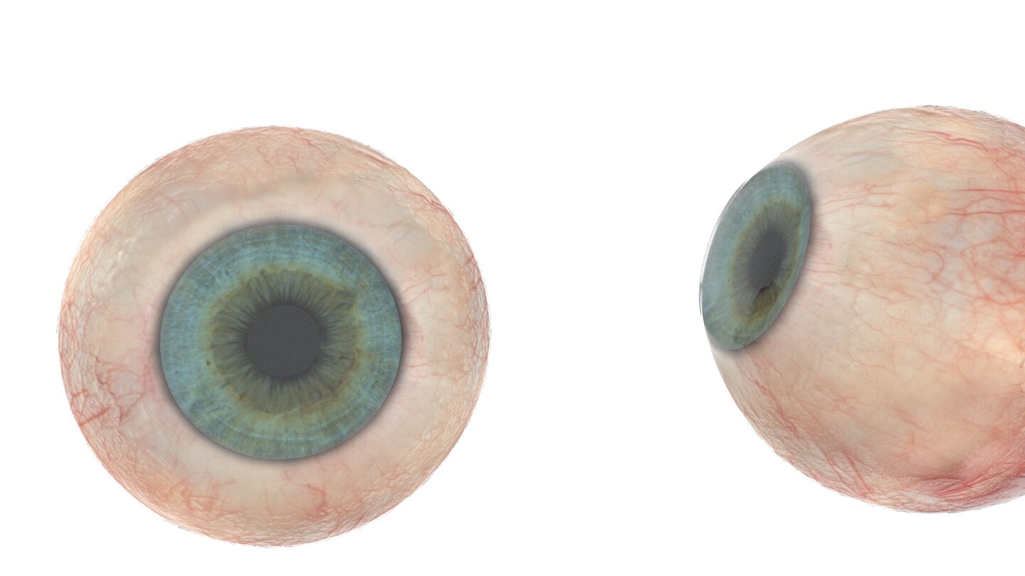 ArtStation - Eyeball