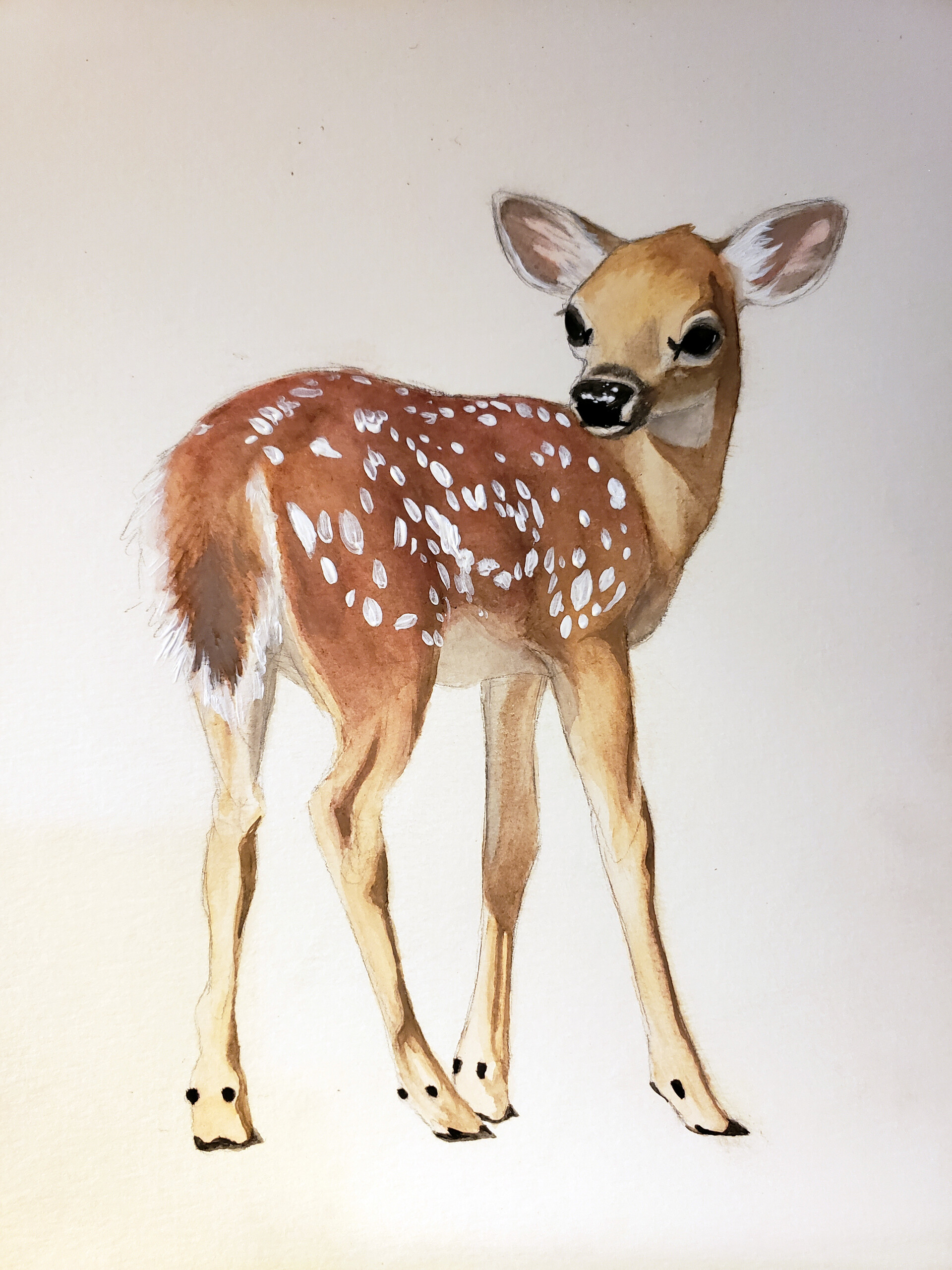 deer watercolour