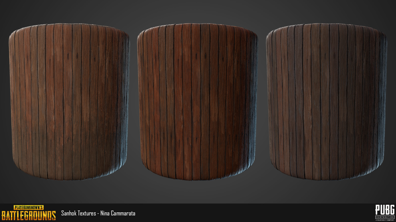 Nina Cammarata - PUBG Sanhok - Textures