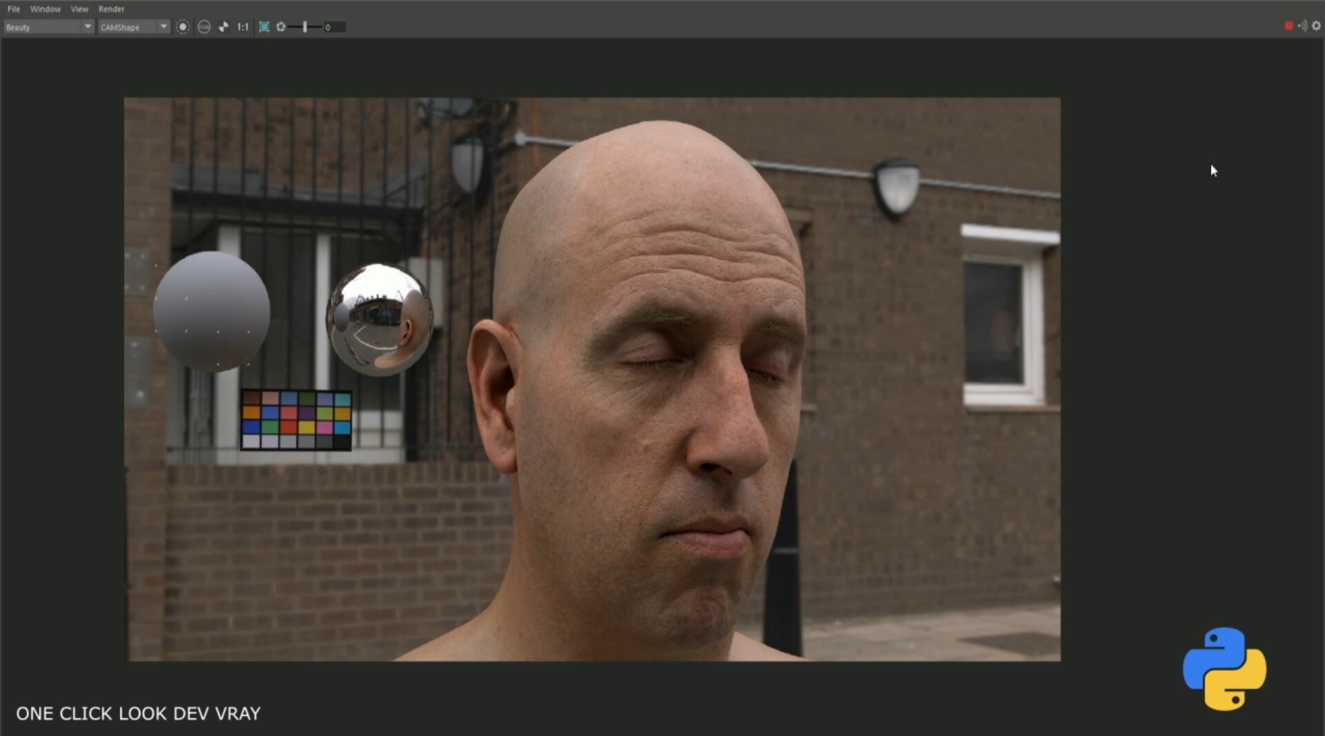 ArtStation - One click lookDev script arnold/vray/renderman