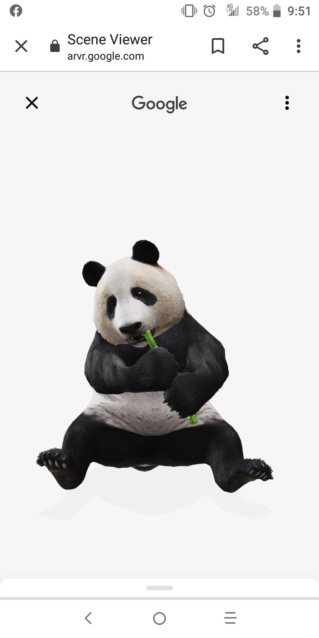 ArtStation - 3d panda