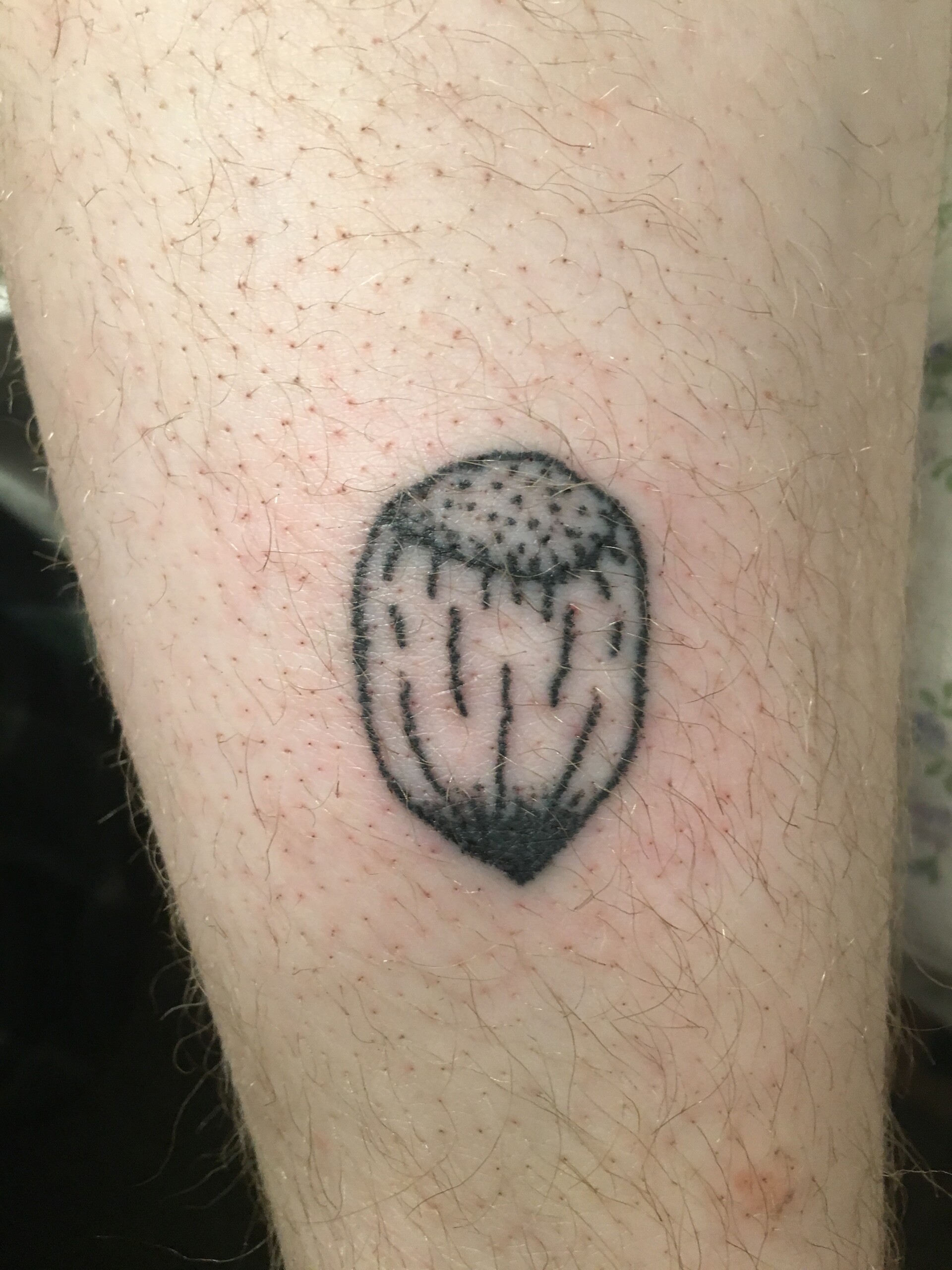 hazelnut tattoo small