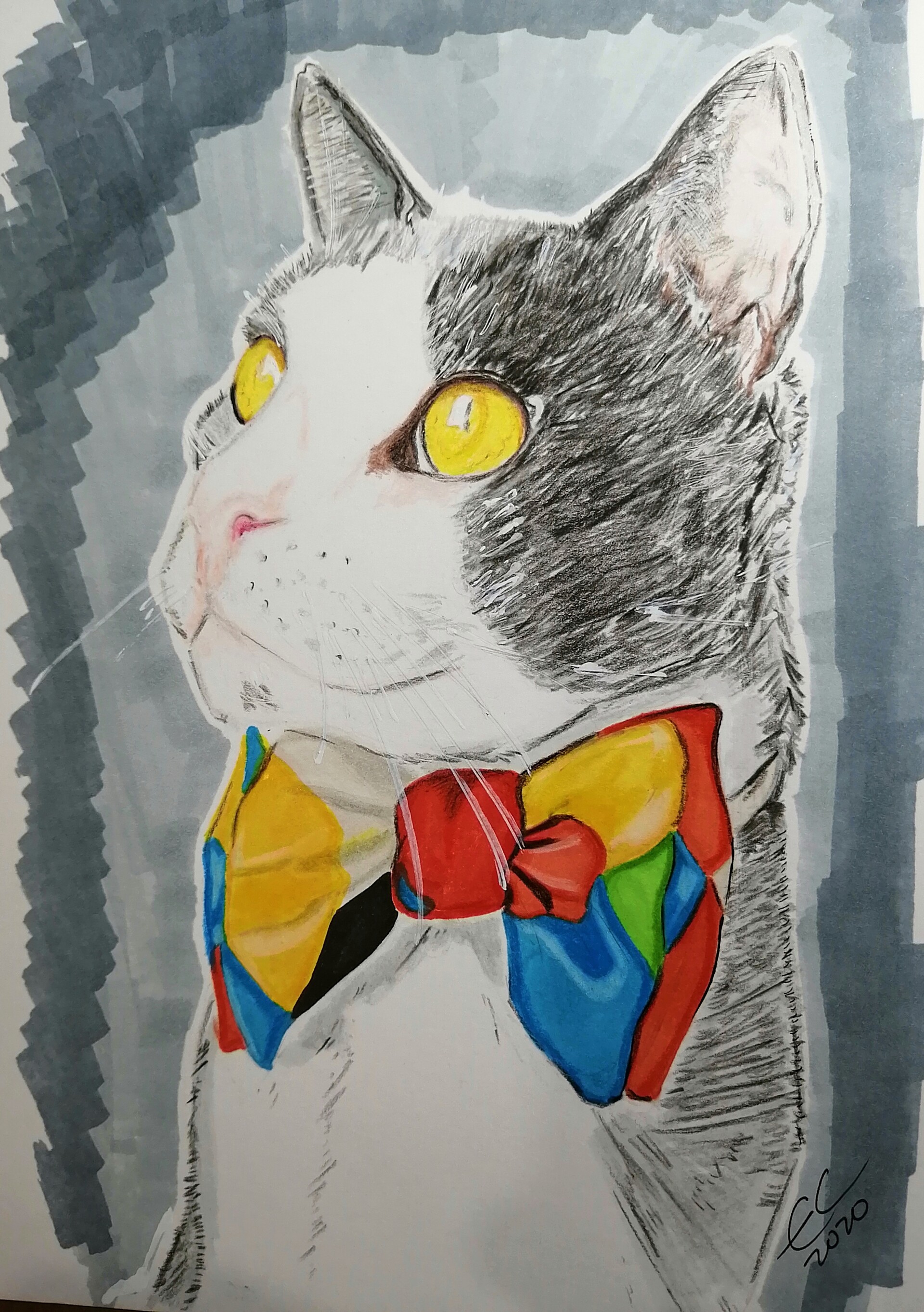 ArtStation - Gato semi realista by PapelArt