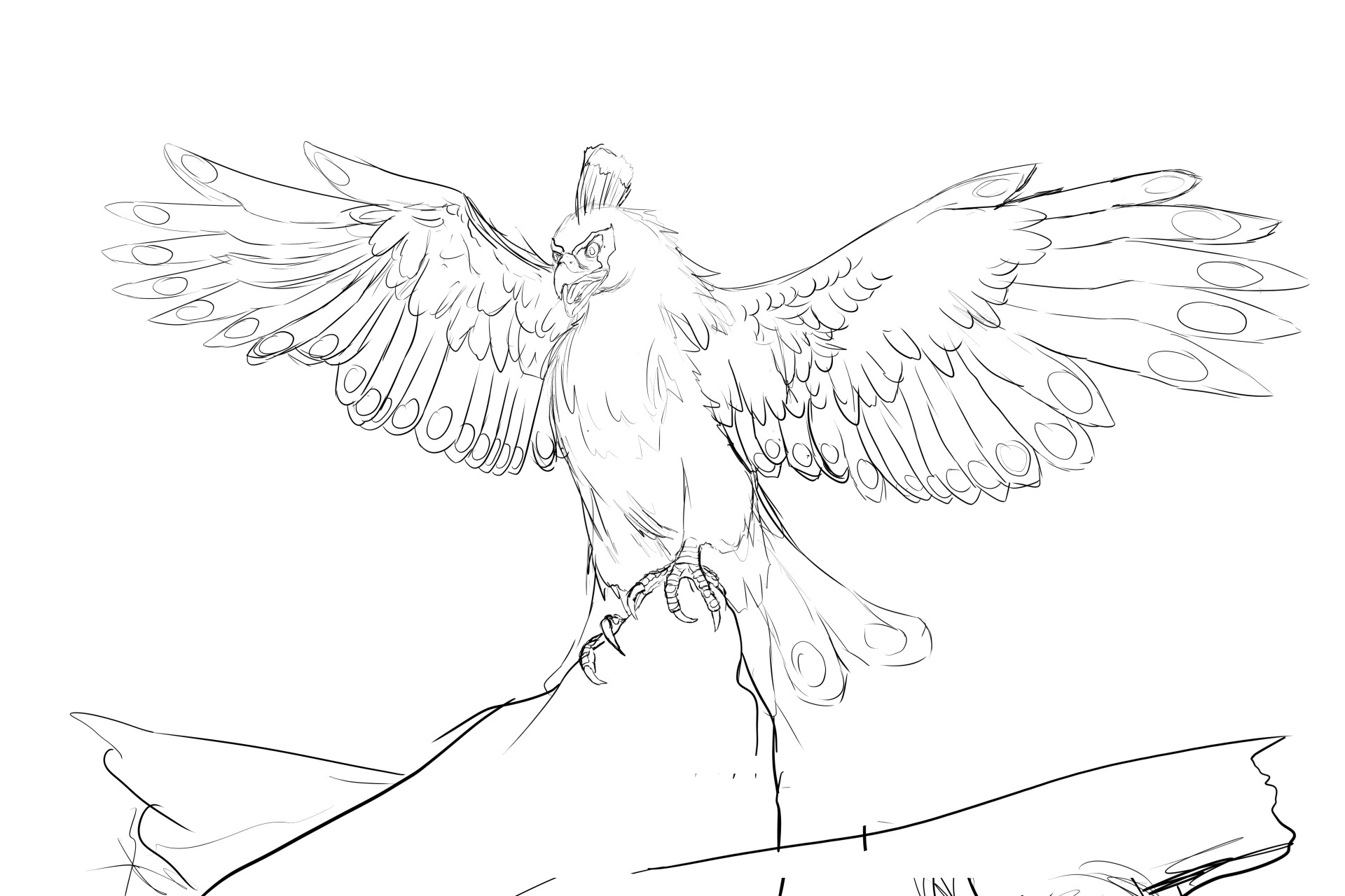 Mike Shachook - Peahawk