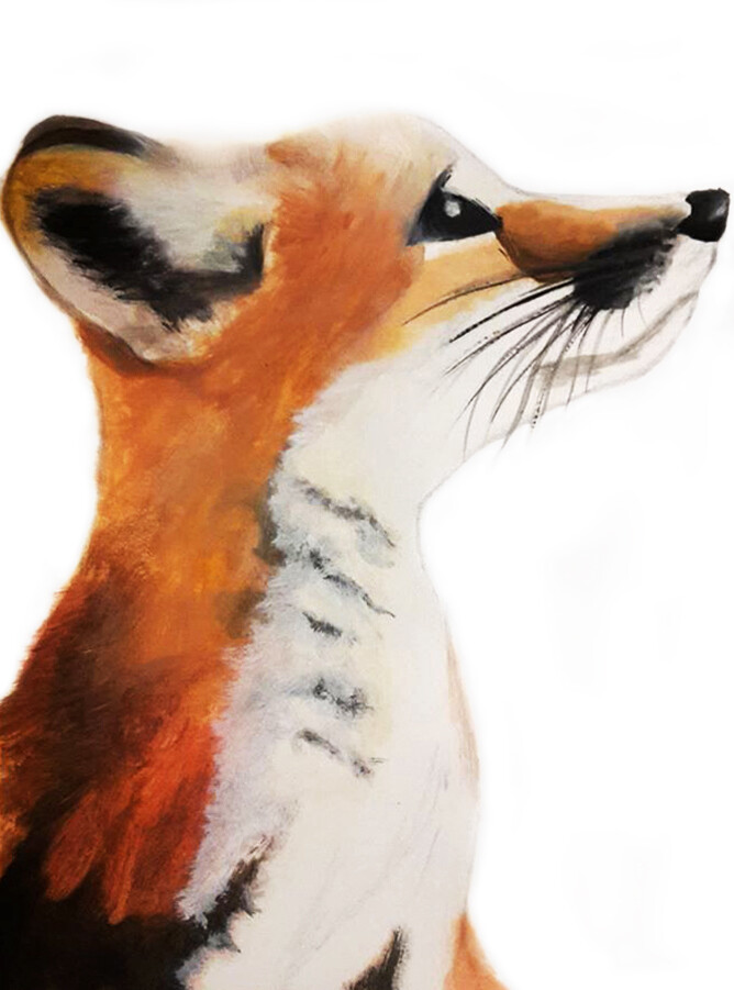 ArtStation - Baby fox