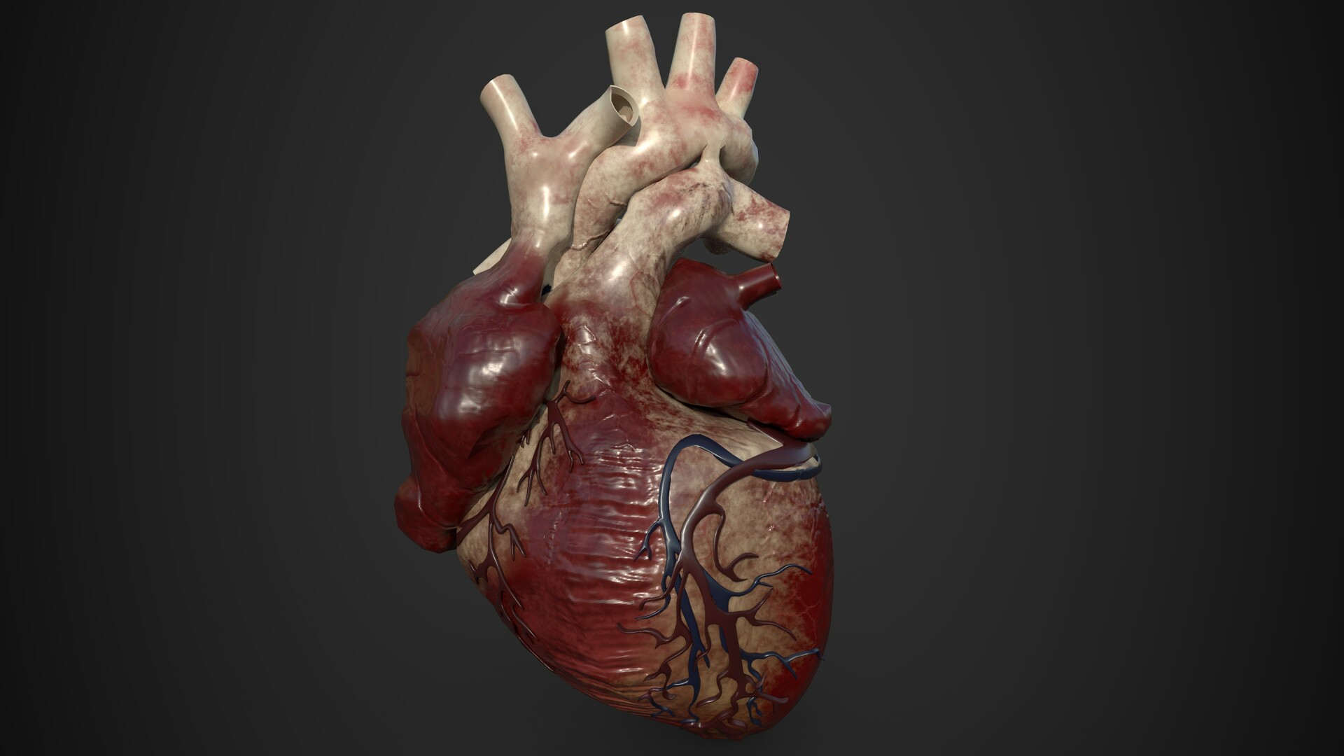 ArtStation - Heart