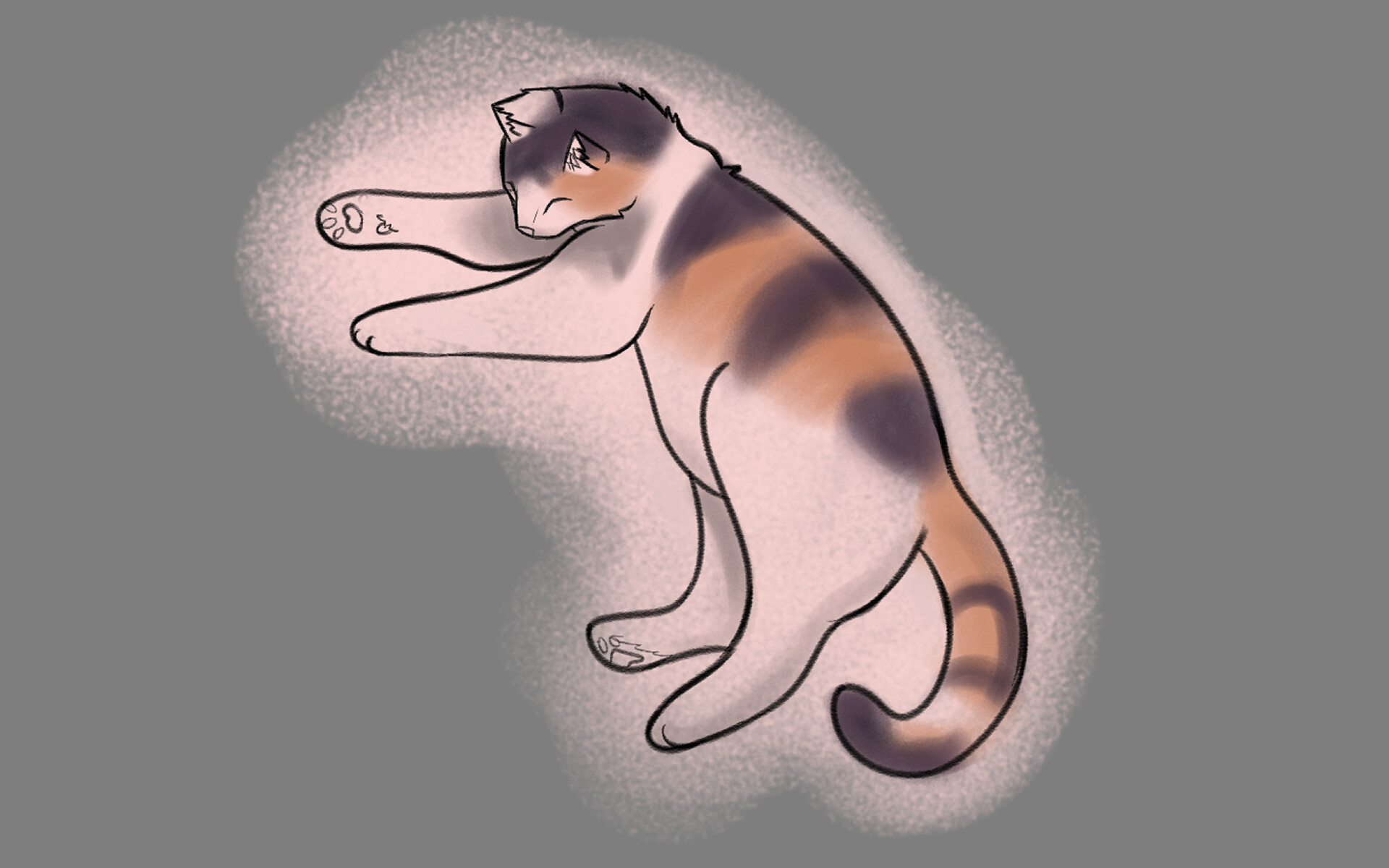 ArtStation - Cats study