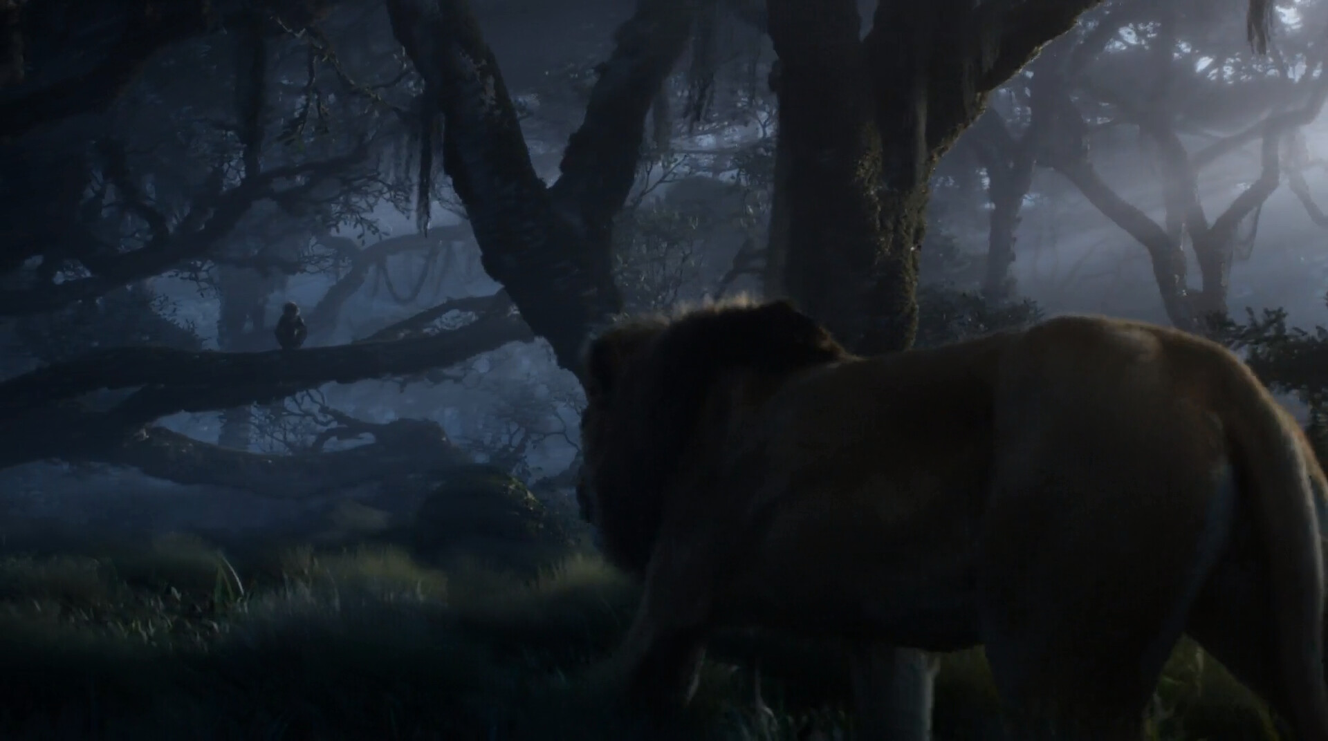 Marcos Silva - "The Lion King" Simba Meets Rafiki Sequence