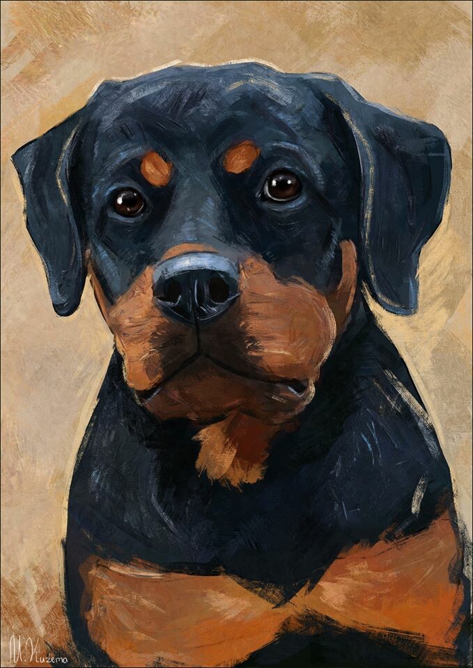 ArtStation - Rottweiler puppy