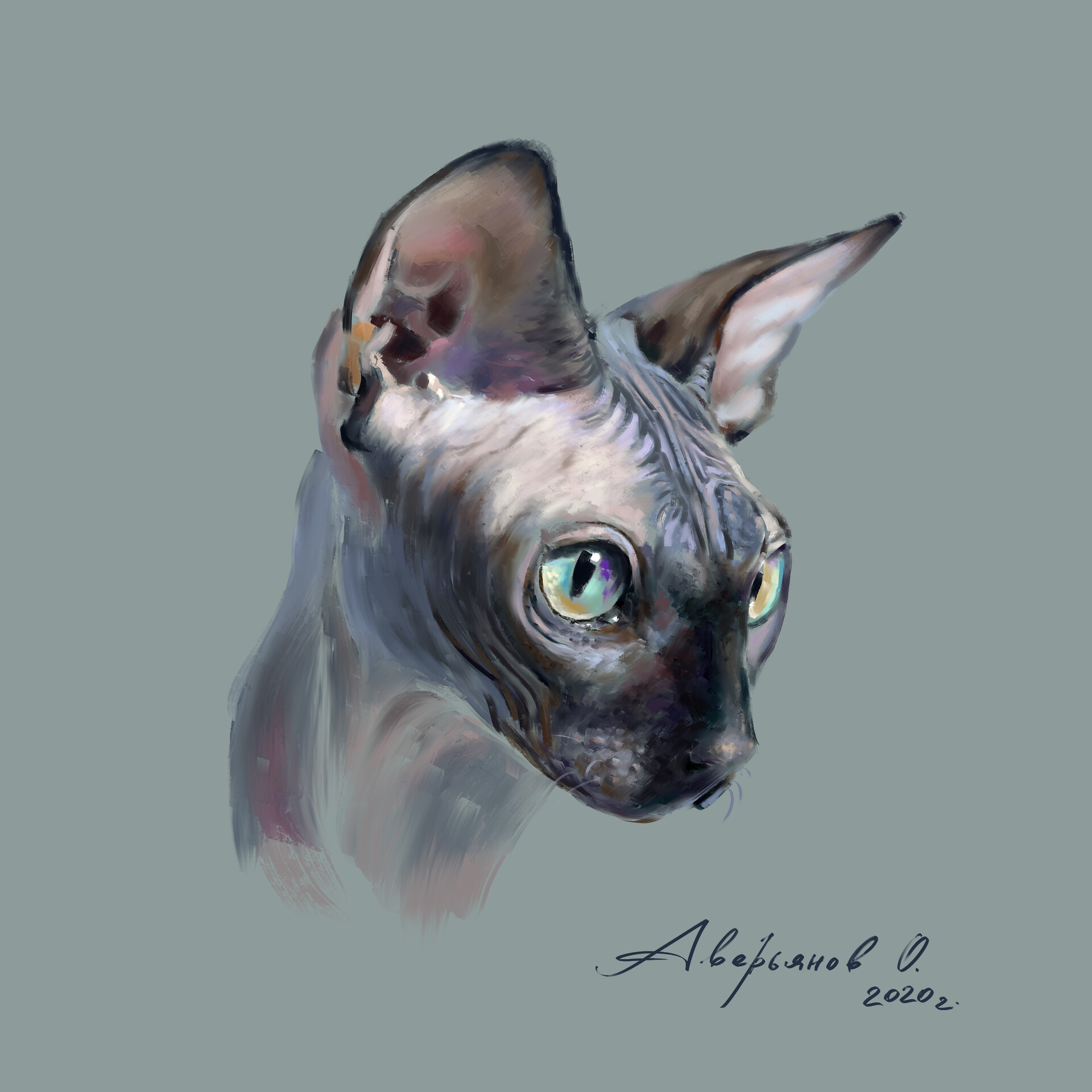 ArtStation - sphynx cat