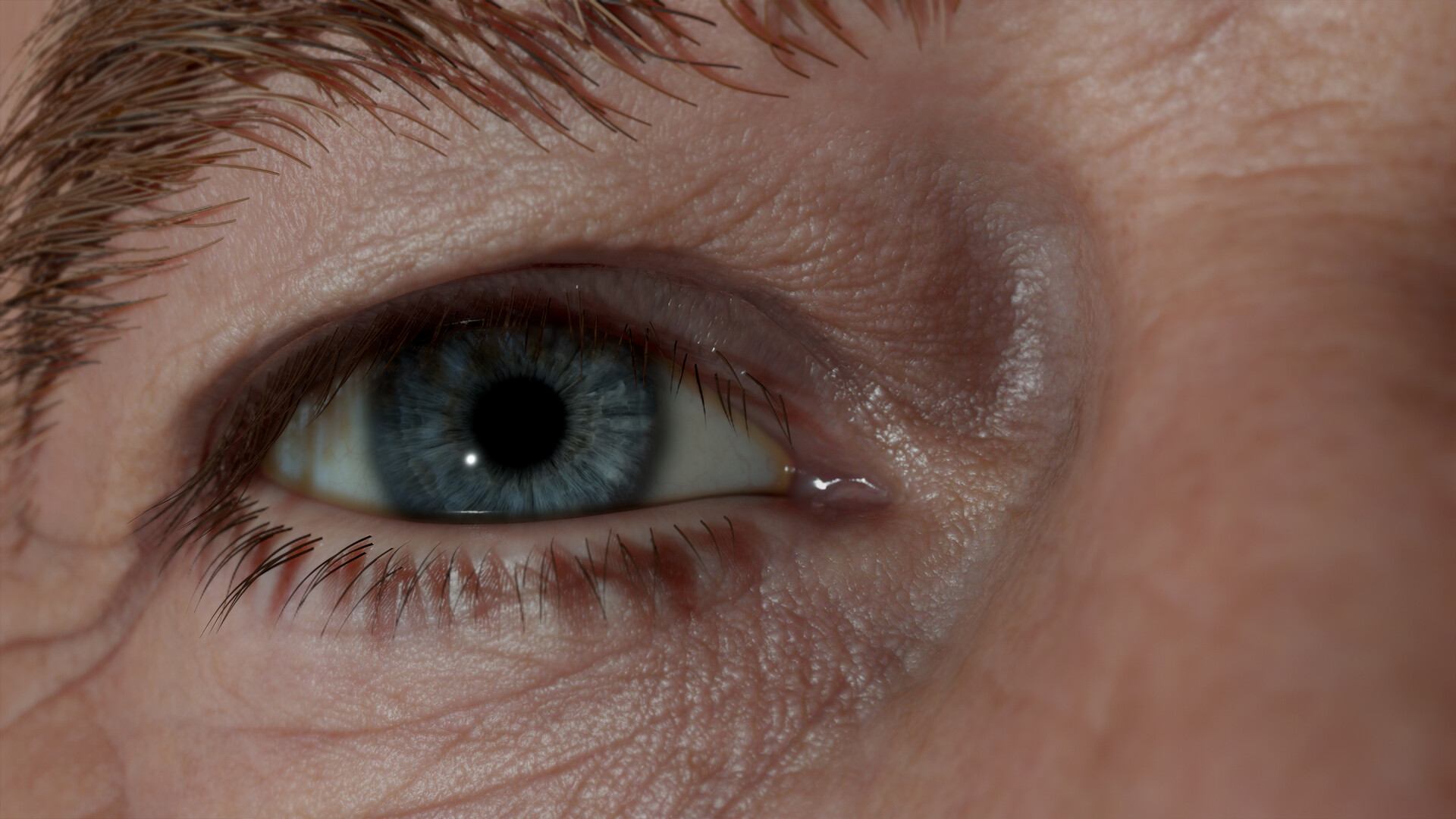 3D Scan Store - New Head Scan