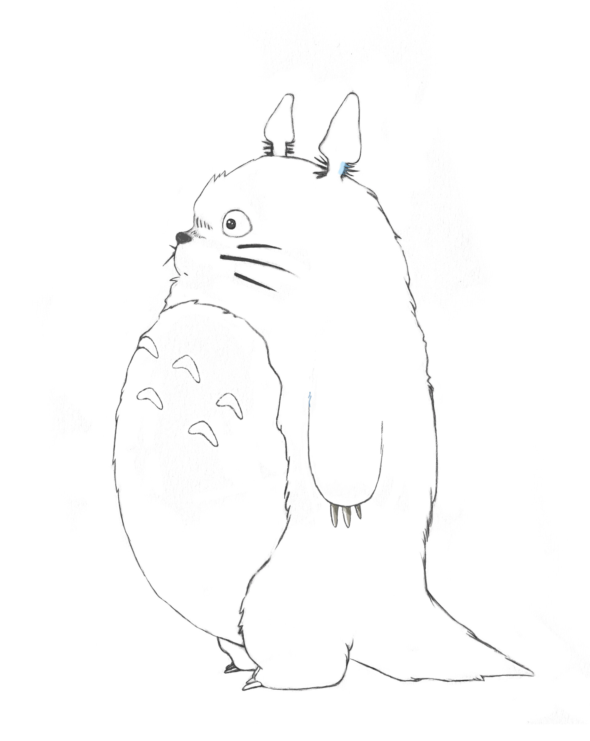 Marina Orgaz - Totoro Studio