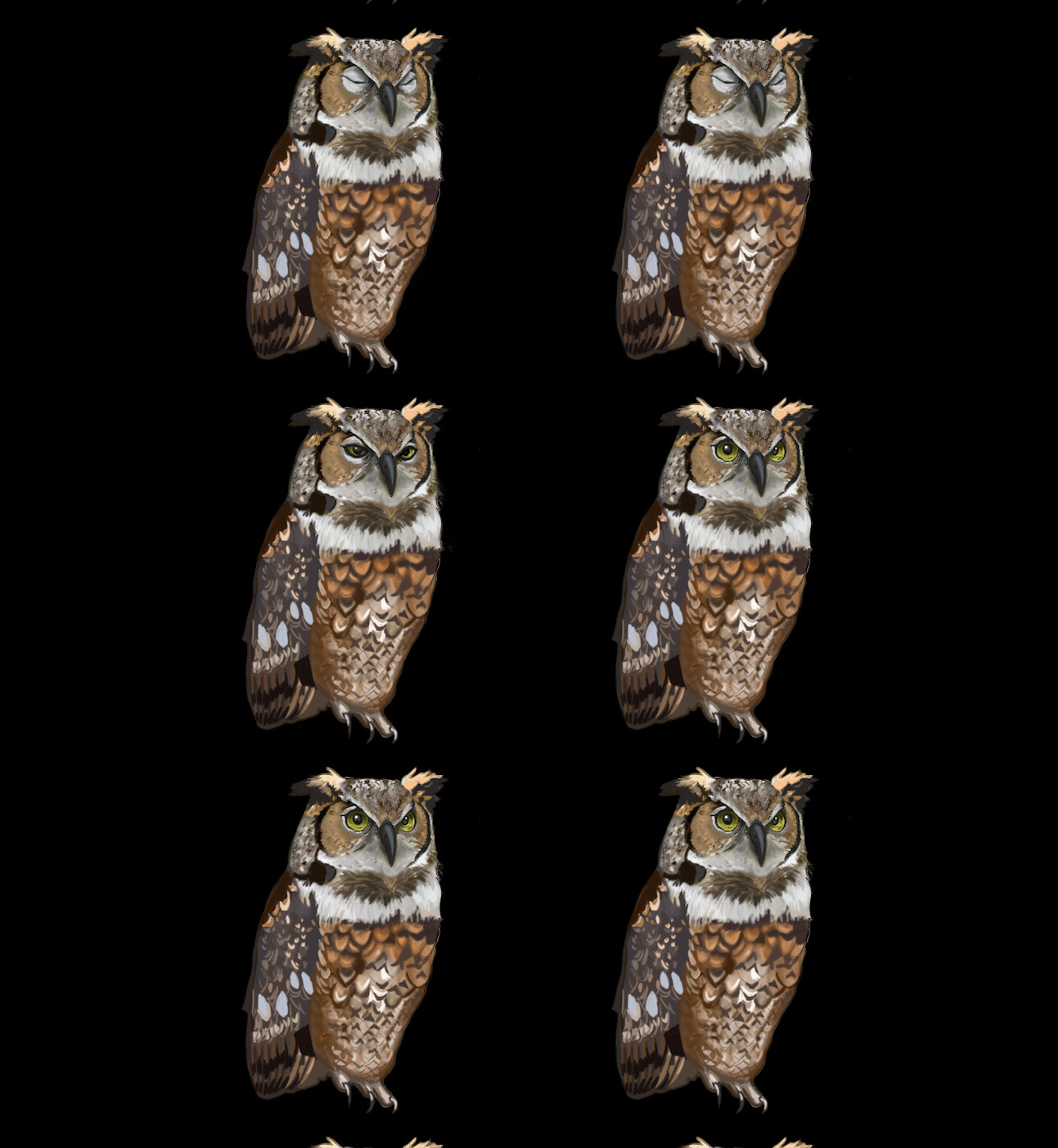Freja Hammar - Owl Sprite