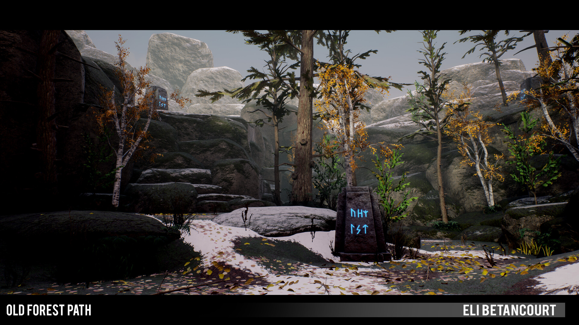 ArtStation - Old Forest, Eli Betancourt