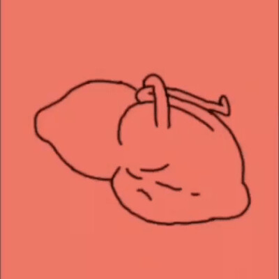 ArtStation - LemonHead Peeling GIF