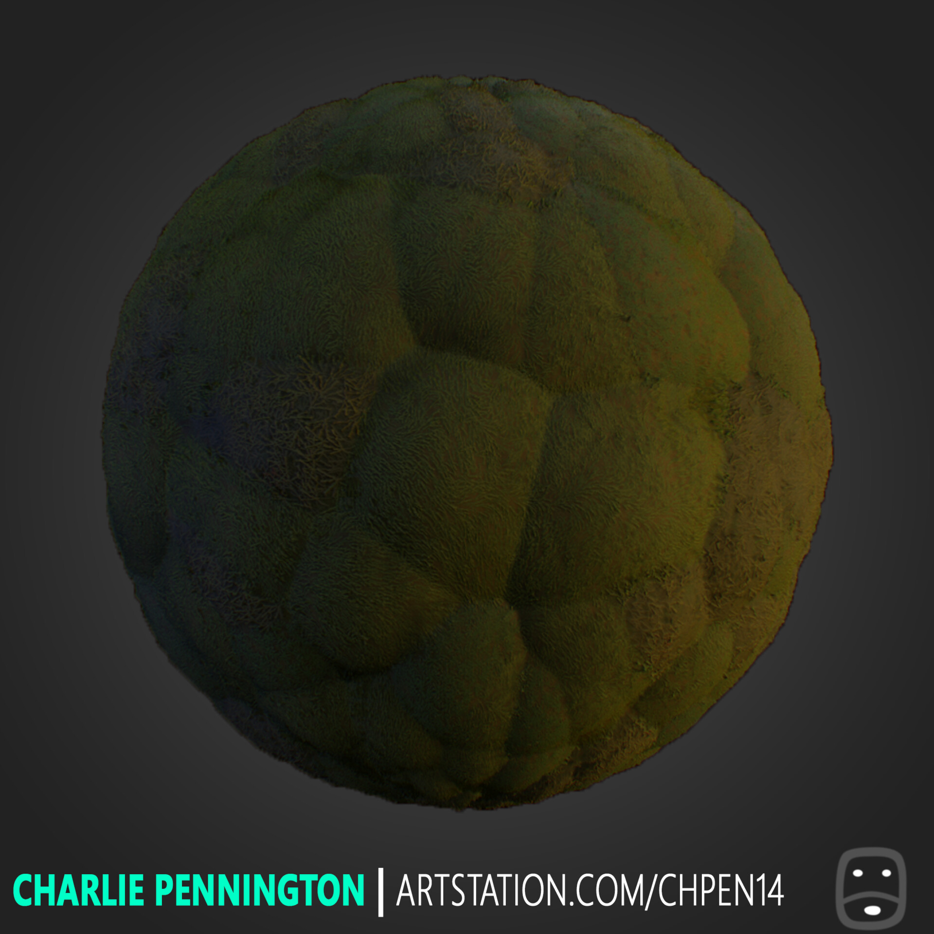 Charlie Pennington - Forest Hut Settlement