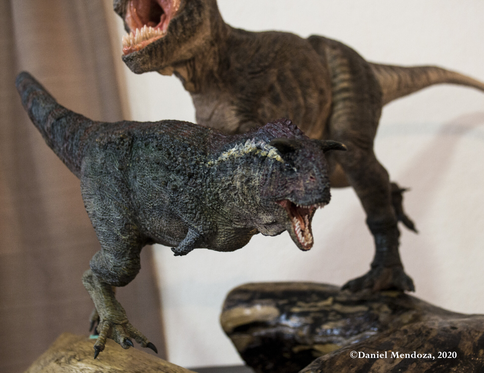 Daniel Isaac - Carnotaurus sastrei sculpture