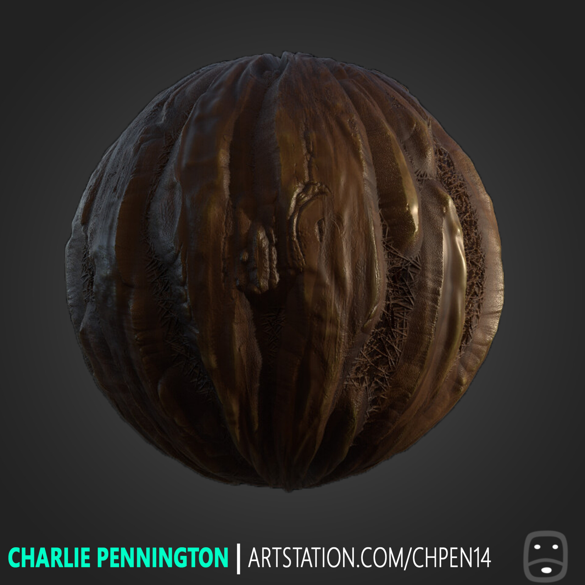 Charlie Pennington - Forest Hut Settlement