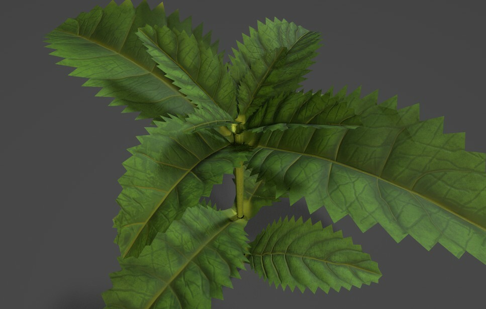 ArtStation - Plant 3d model
