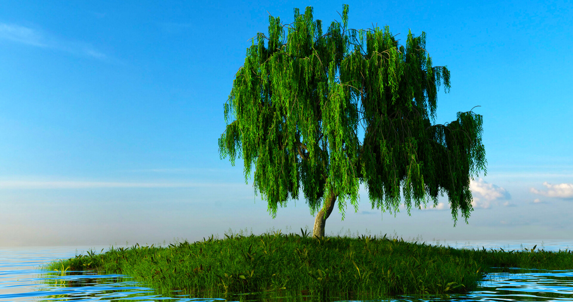 ArtStation - Lonely Willow