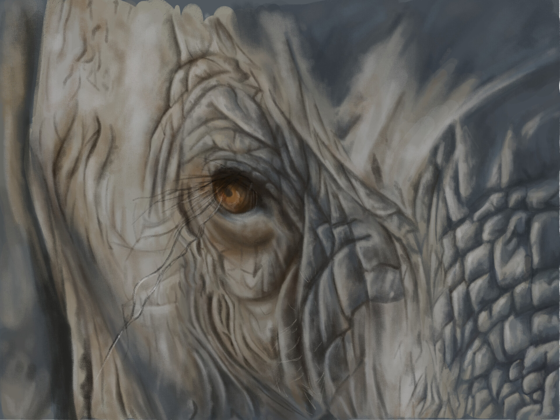 how to draw elephant texture