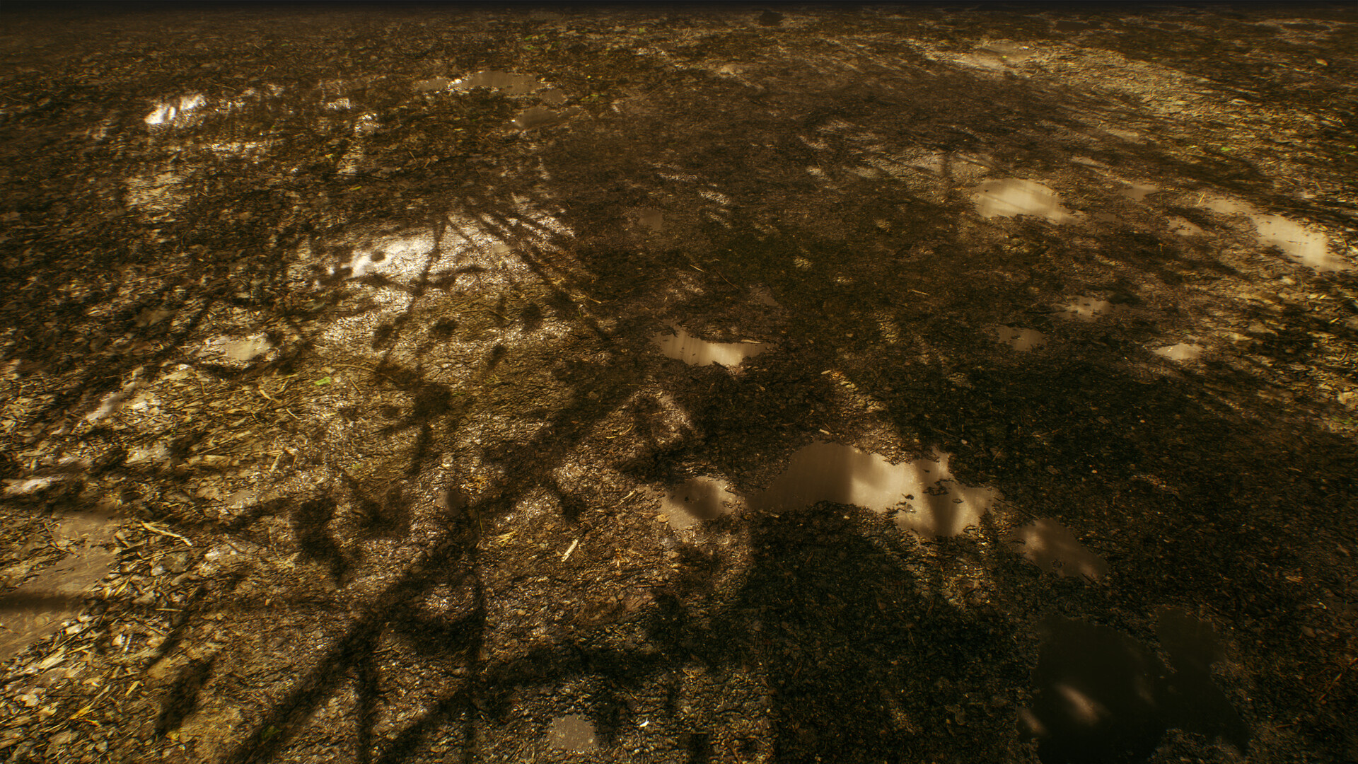 ArtStation - Photoscanned forest ground materials