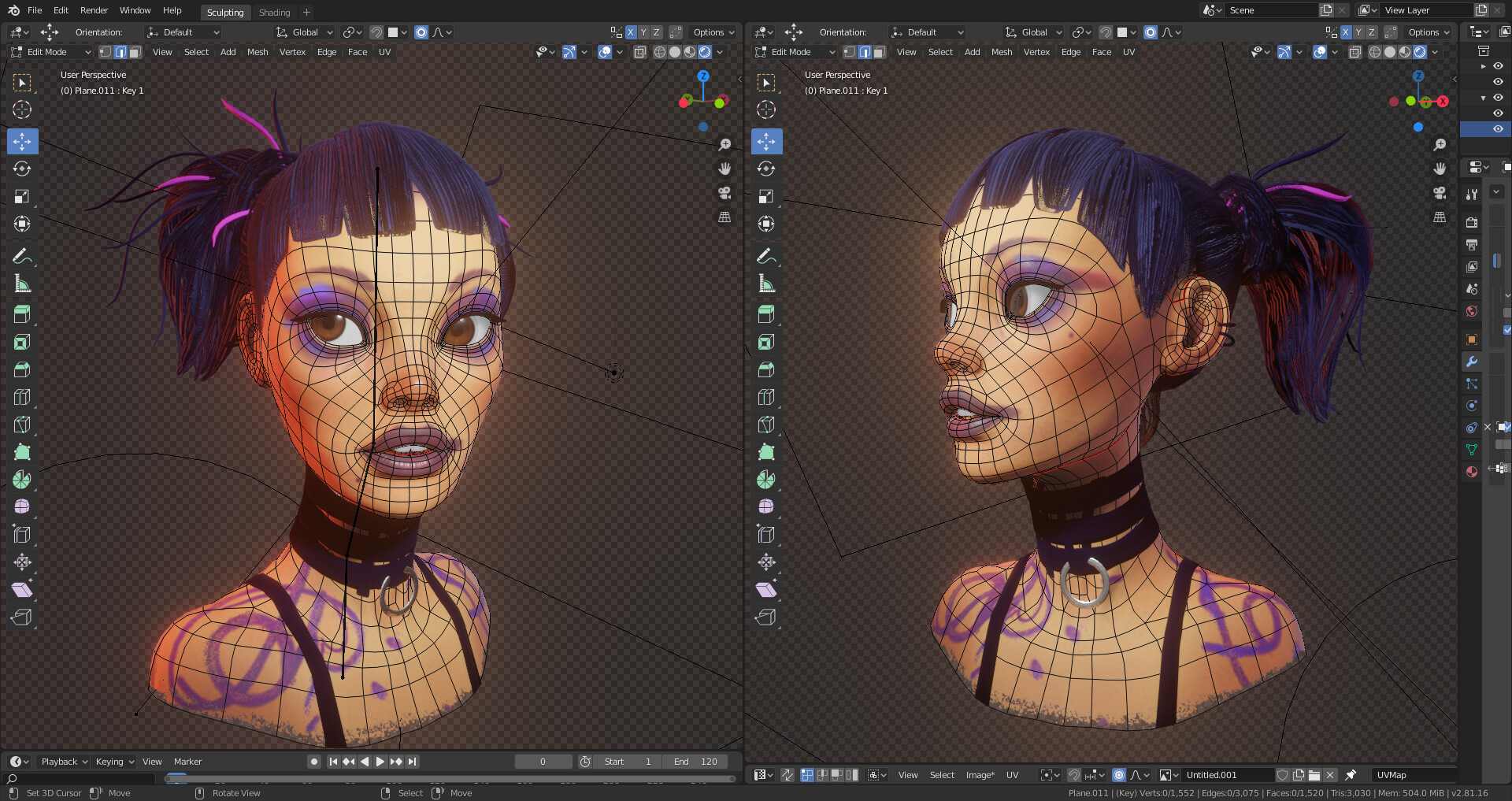 FlyCat Fly - The Witness