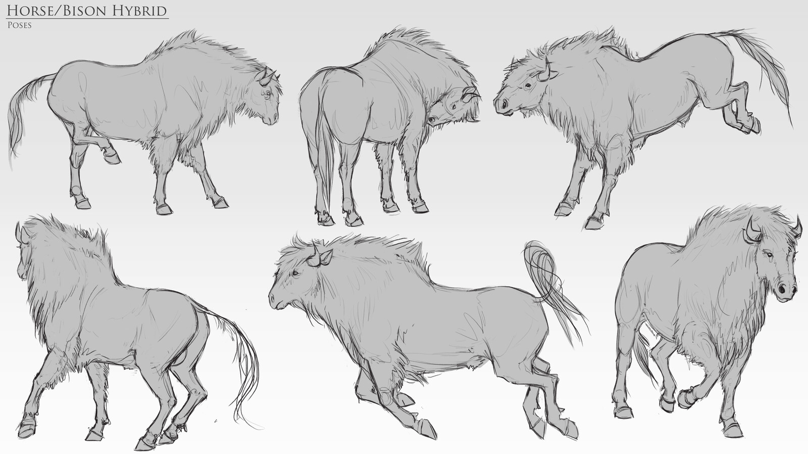 Alyson Appleby - Horse bison hybrid