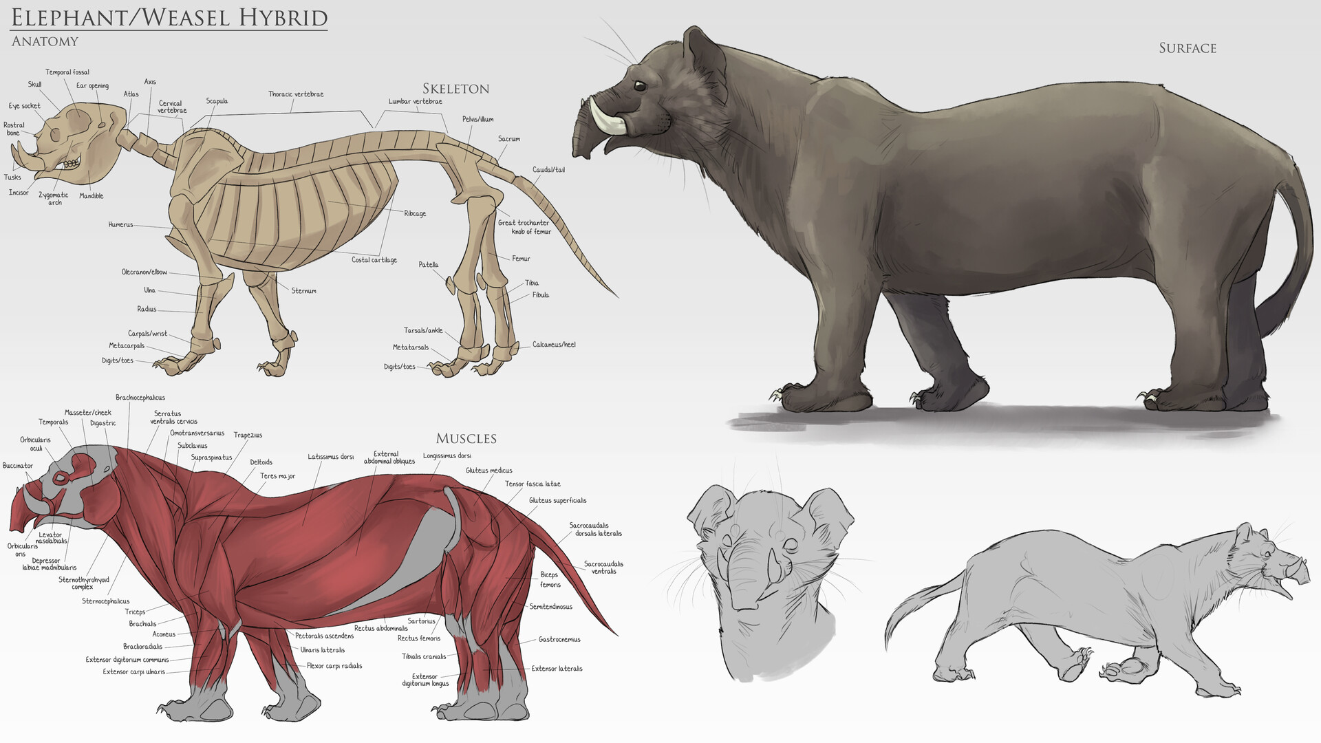 ArtStation - Elephant weasel hybrid