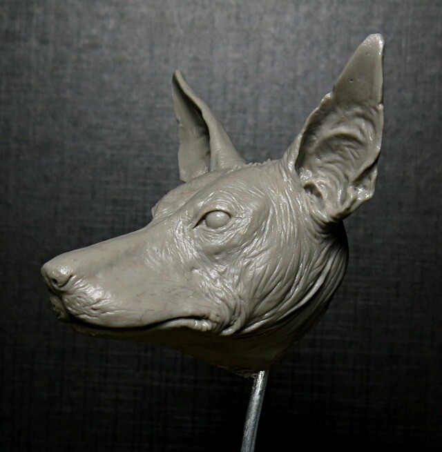 ArtStation - xoloitzcuintle dog