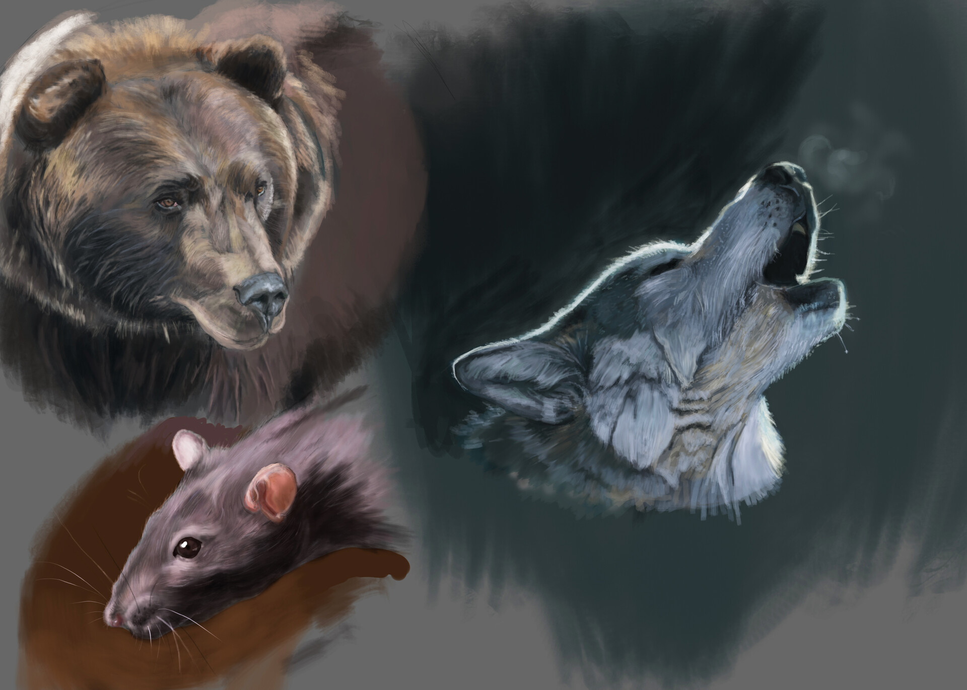 ArtStation - fur practice