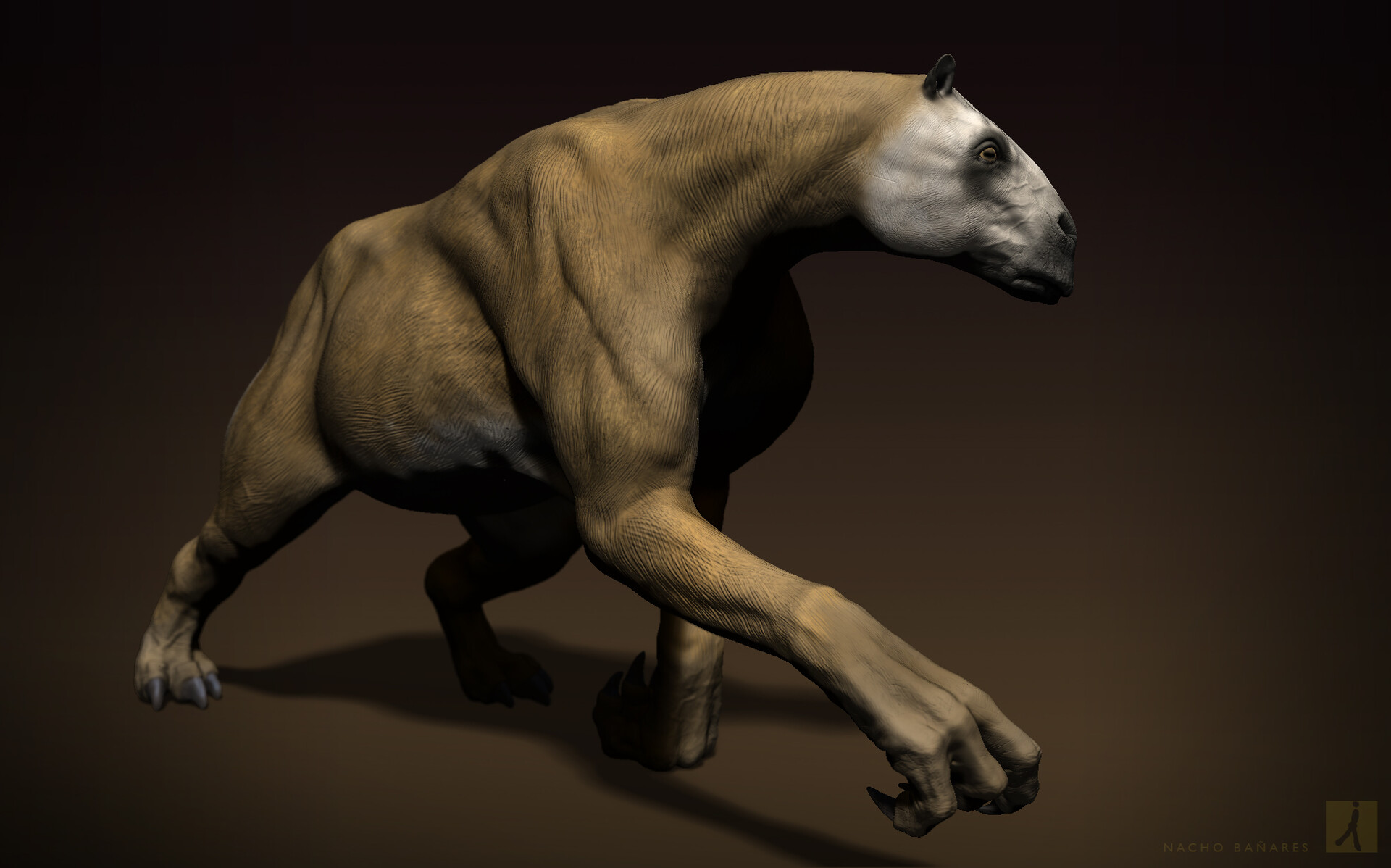 Nacho Banares - Anisodon