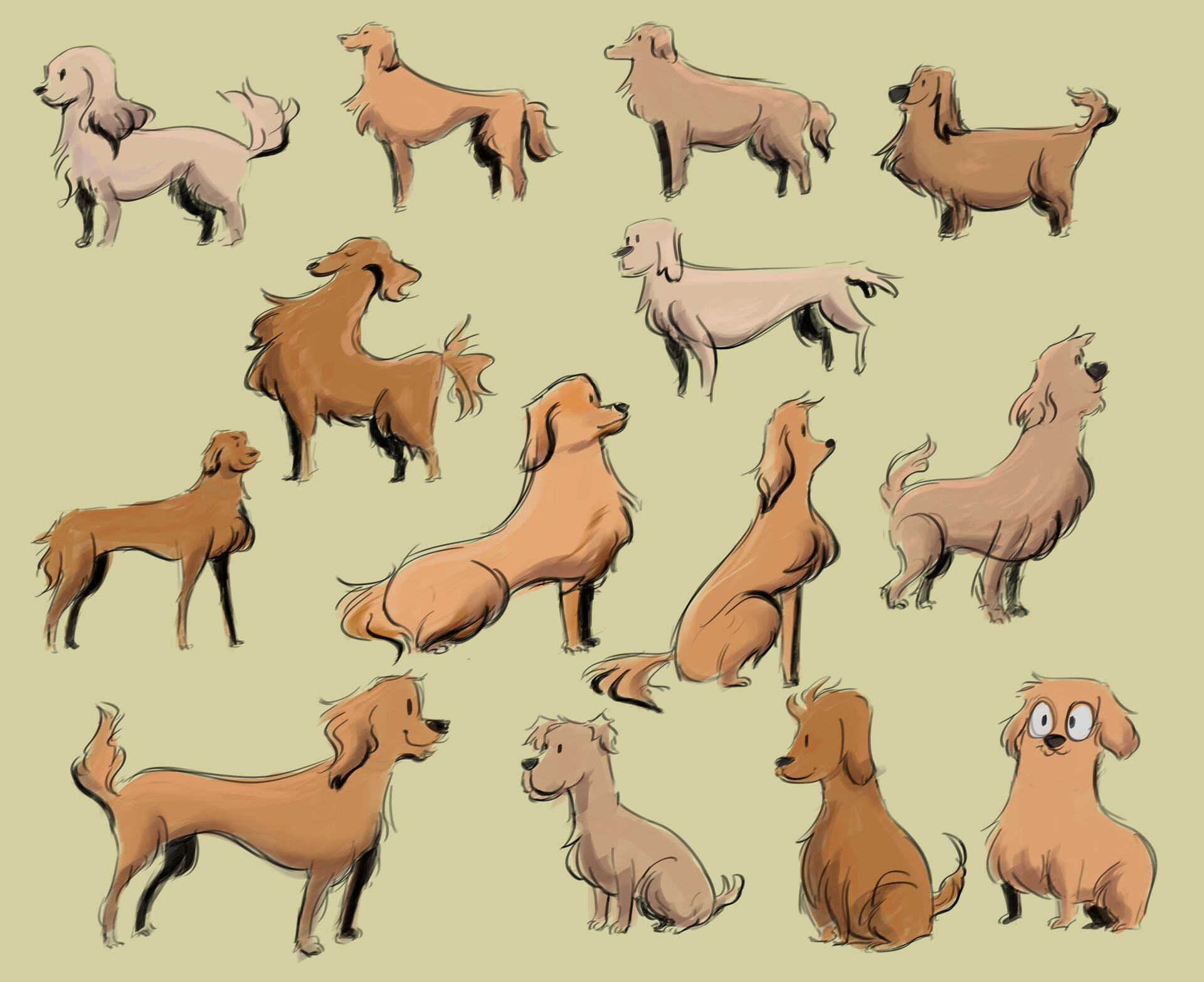 ArtStation - Dog Character Exploration