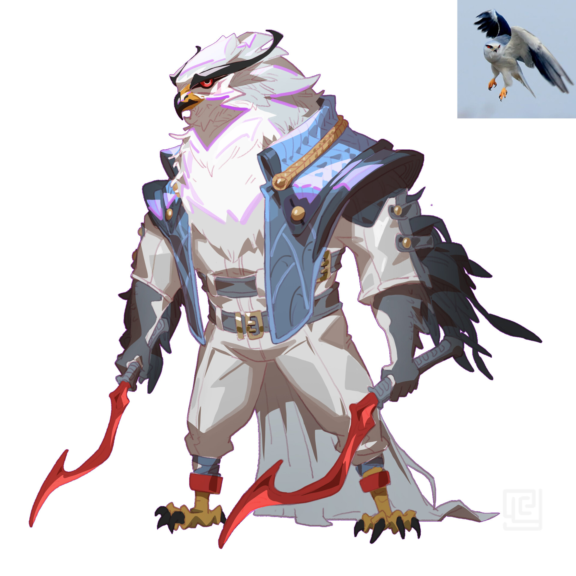 ArtStation - Elanus caeruleus