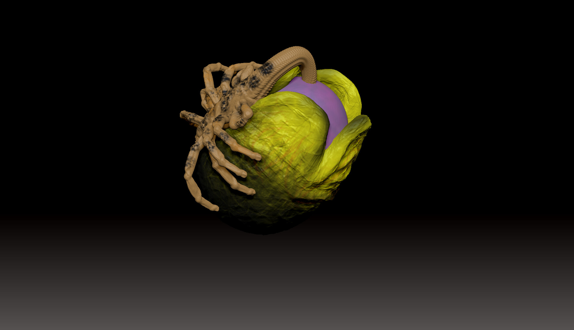Alien Facehugger Egg
